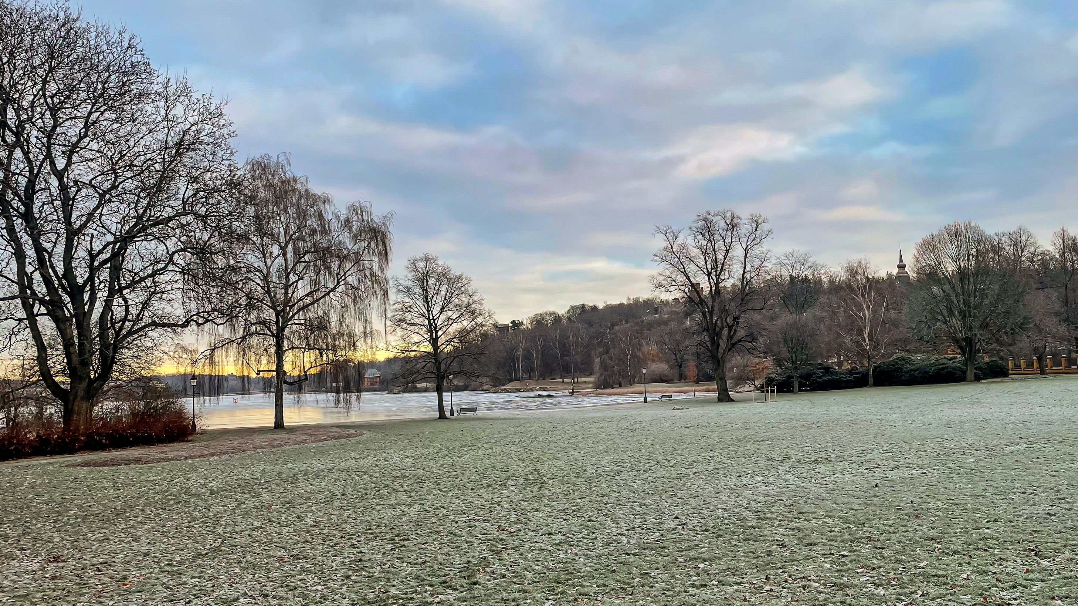 Frost-covered field with bare trees under a pastel sky at sunrise near a tranquil lake.