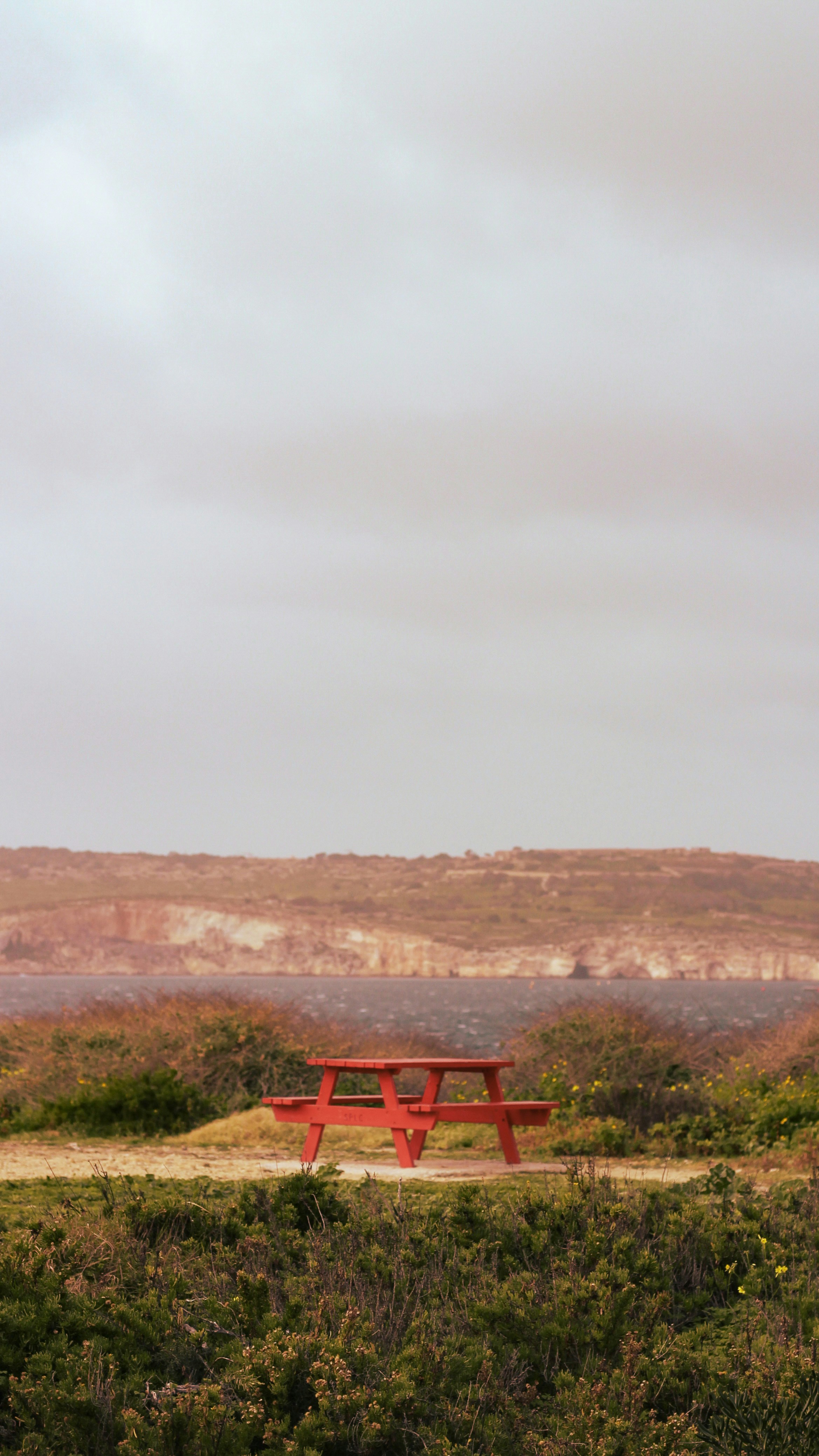 a red bench sitting on top of a lush green field