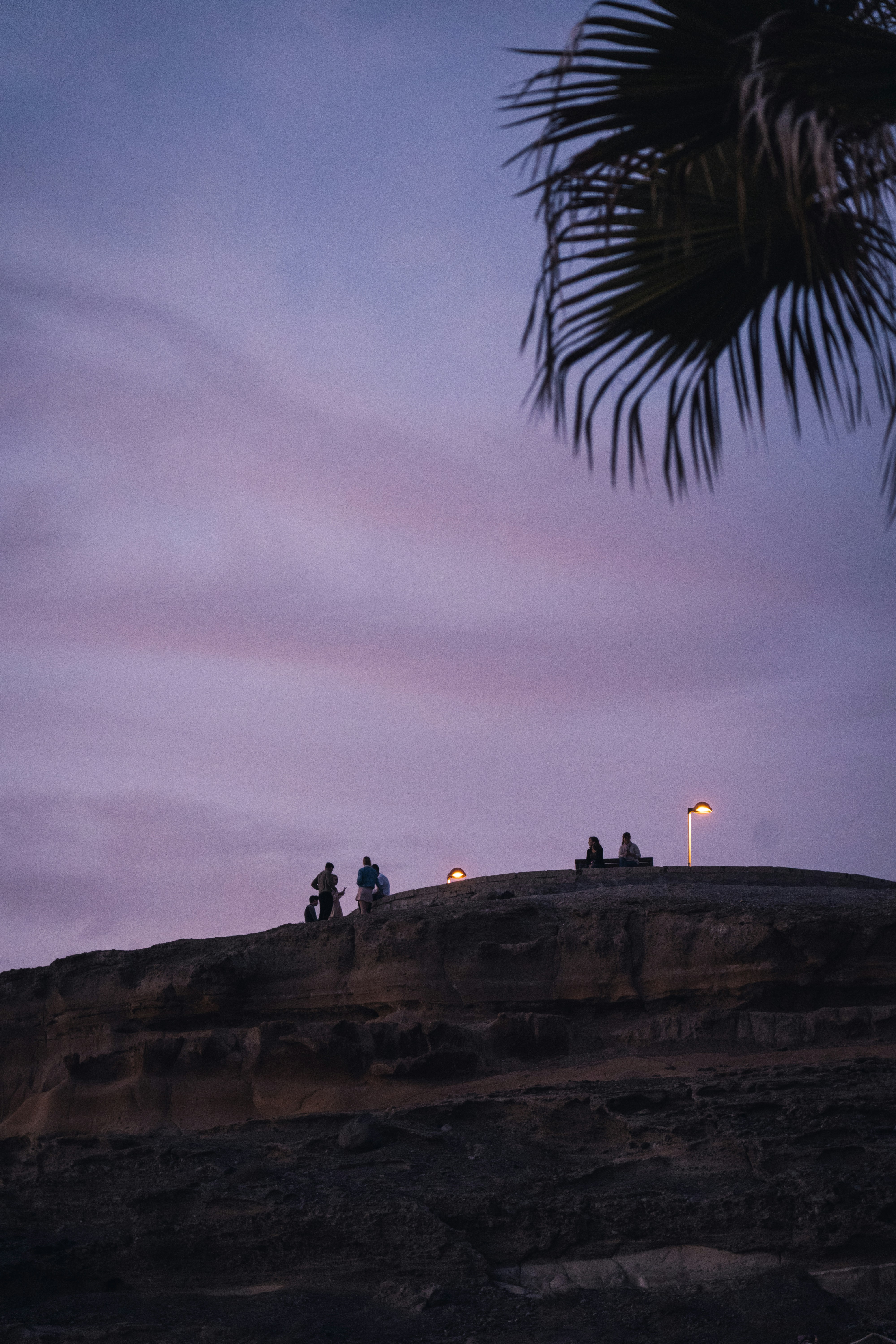 Silhouetted figures atop a rocky outcrop during twilight, with a palm frond framing the scene. A solitary lamp illuminates the gathering.
