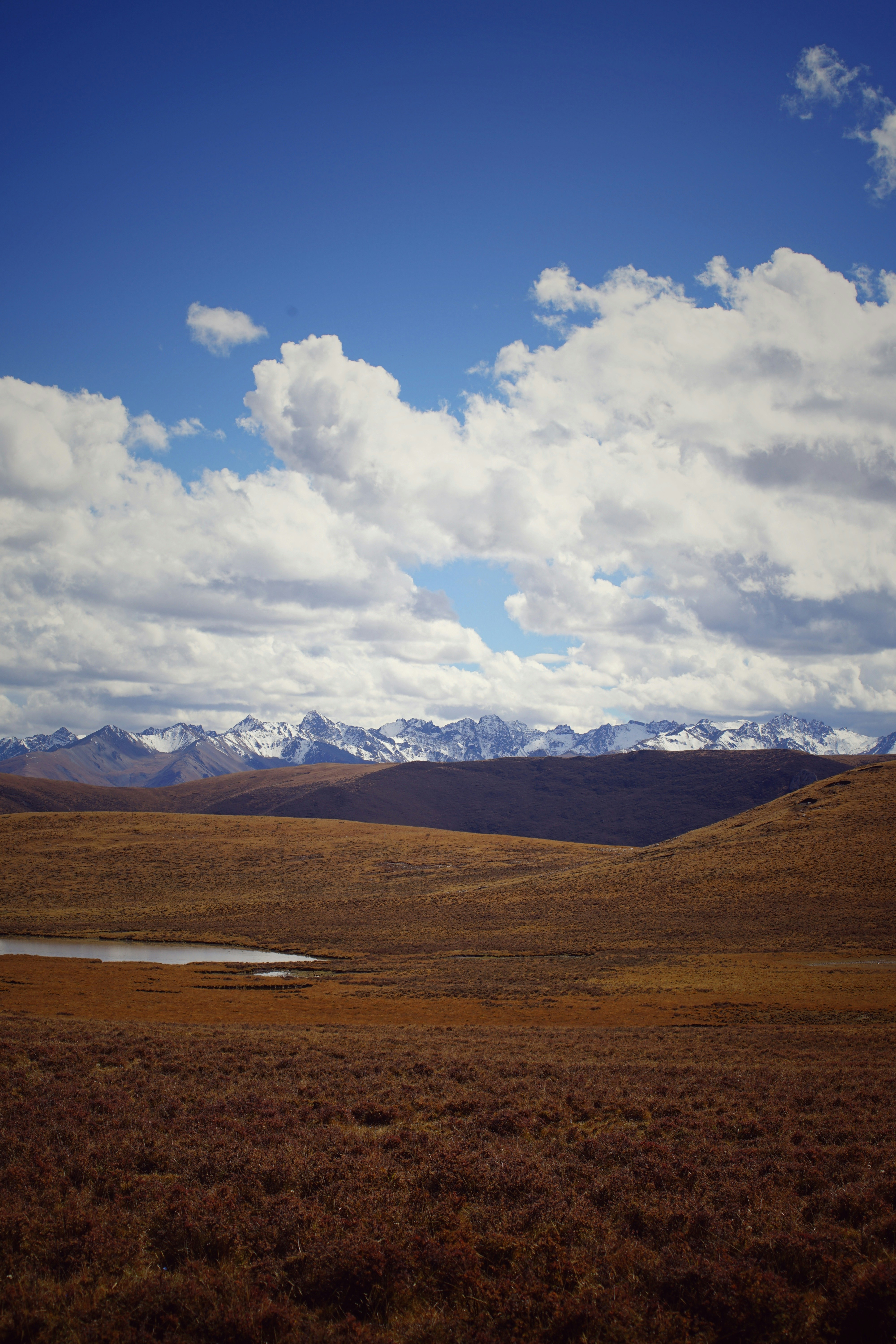 Expansive highland landscape featuring rolling golden hills under a vibrant sky dotted with clouds, framed by distant snow-capped mountains.