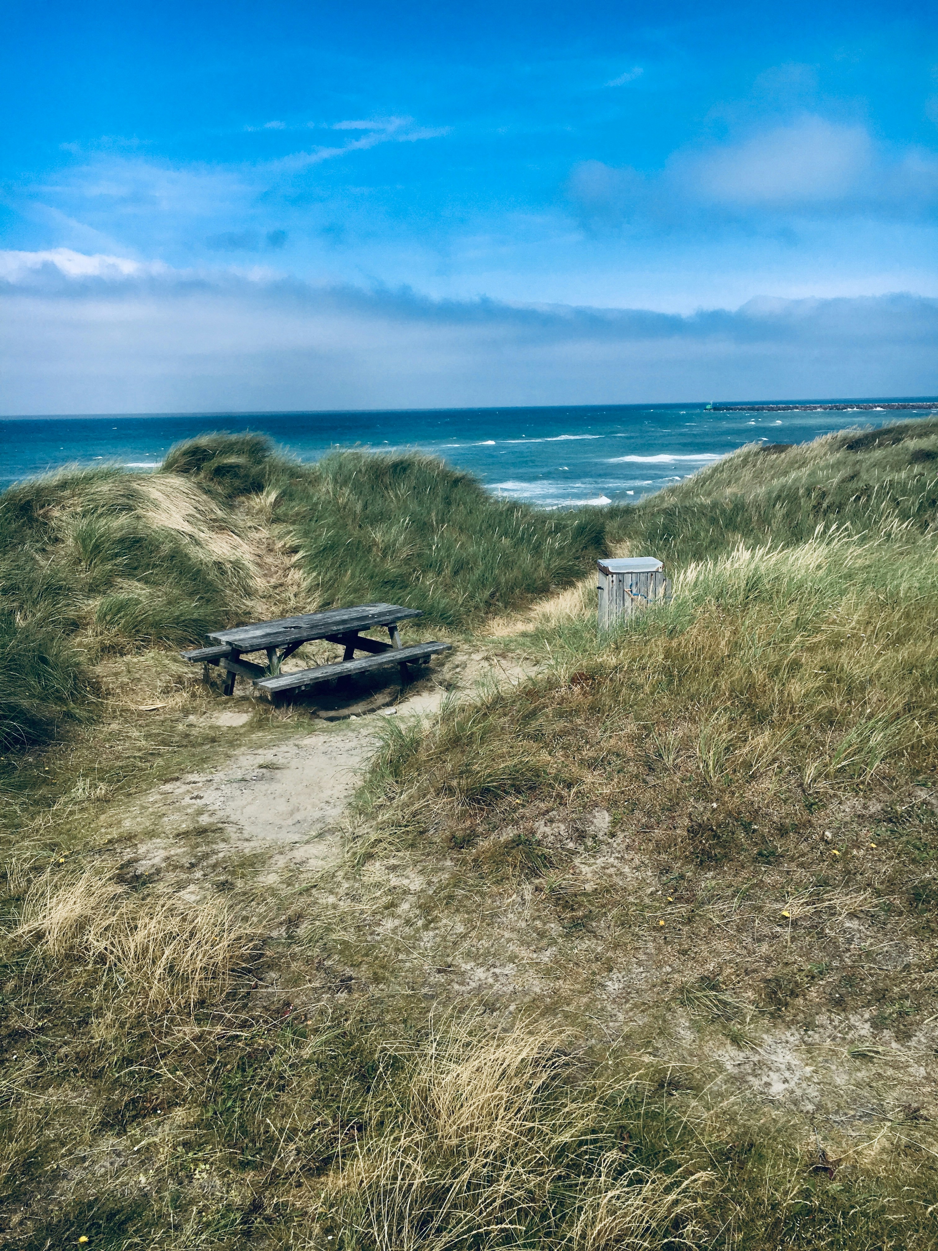 Whispering Dunes and a Seaside Picnic