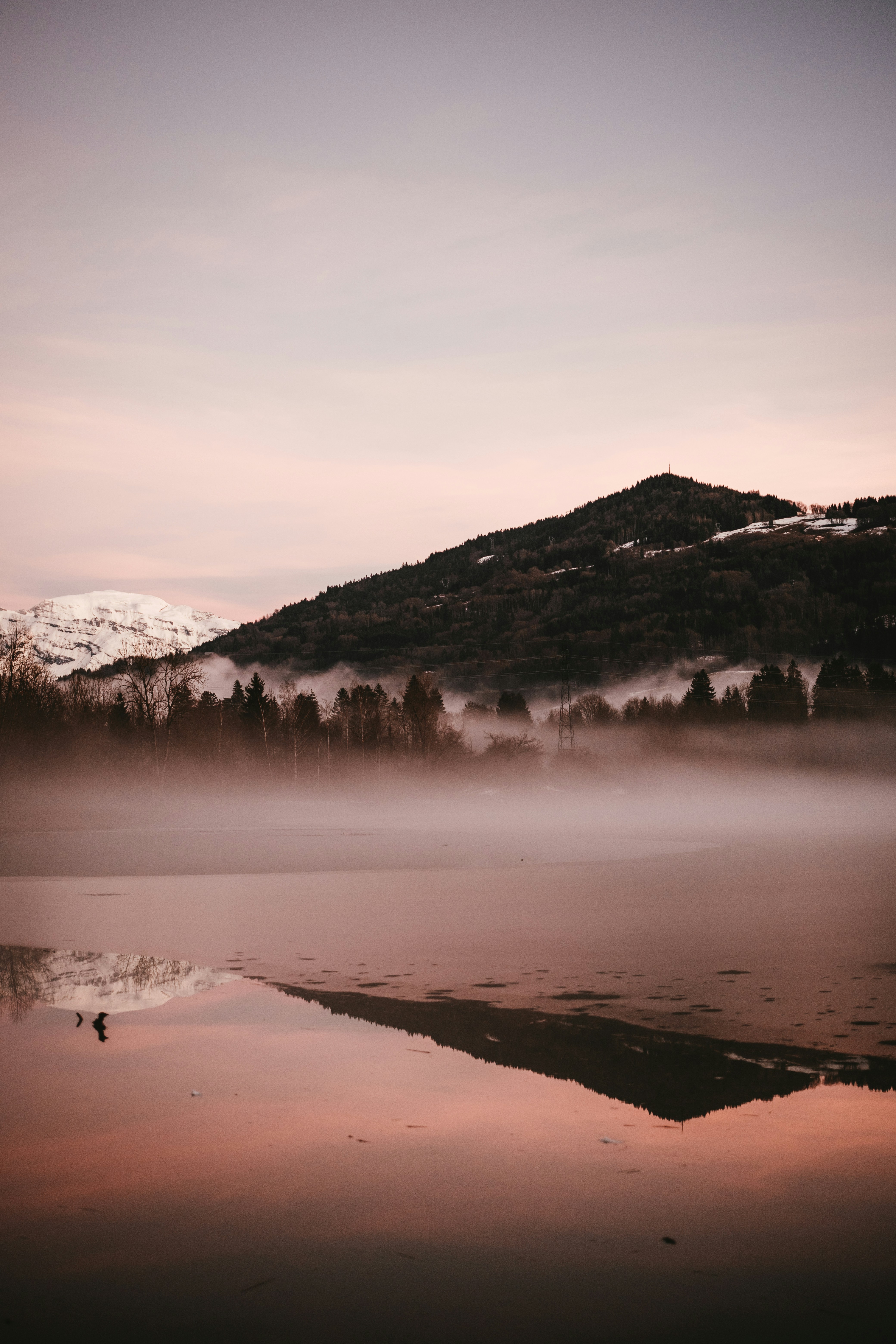 Whispers of Dawn Over Misty Waters