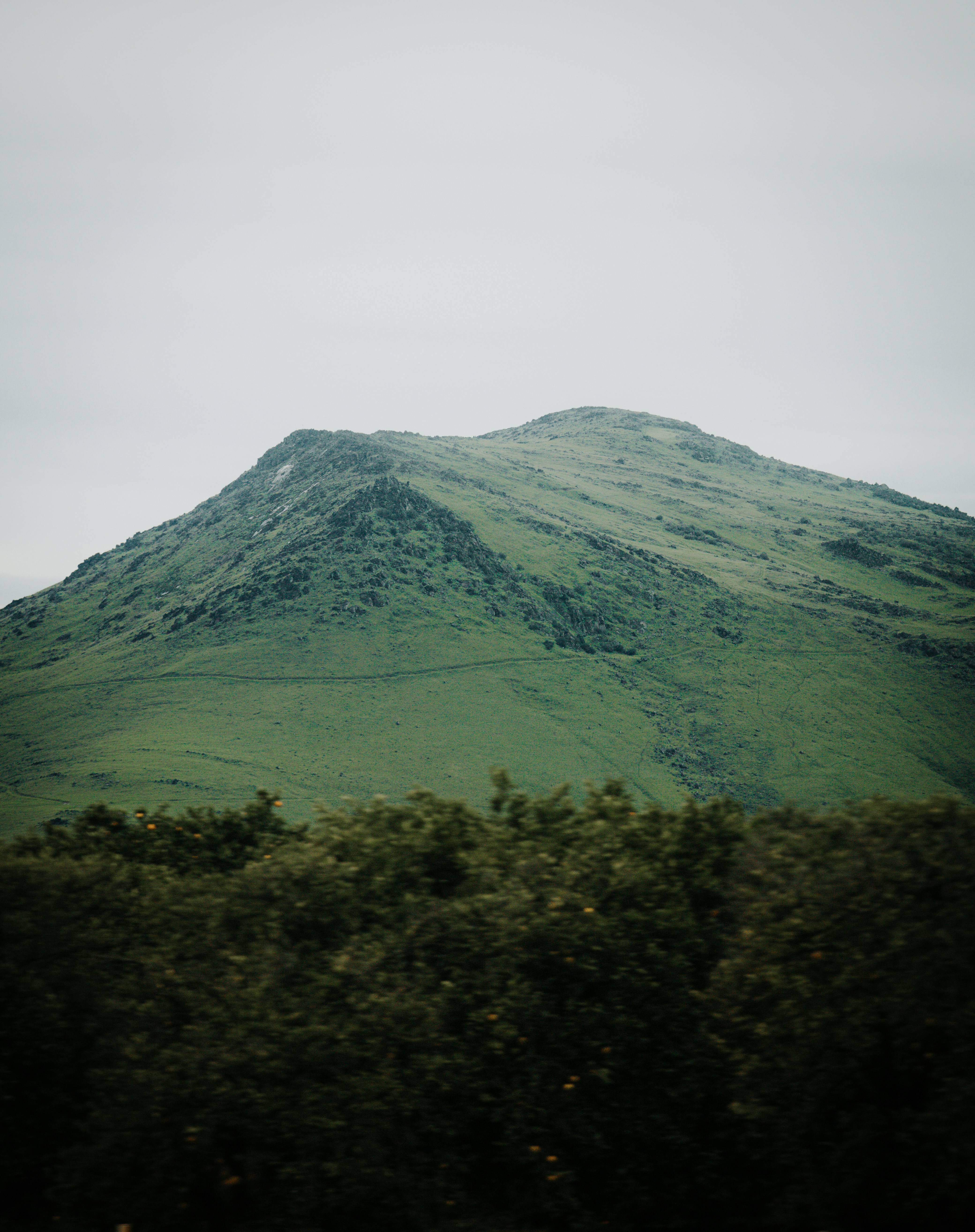 A solitary green mountain rises against a muted sky, framed by dense foliage at the base. The serene landscape invites contemplation.