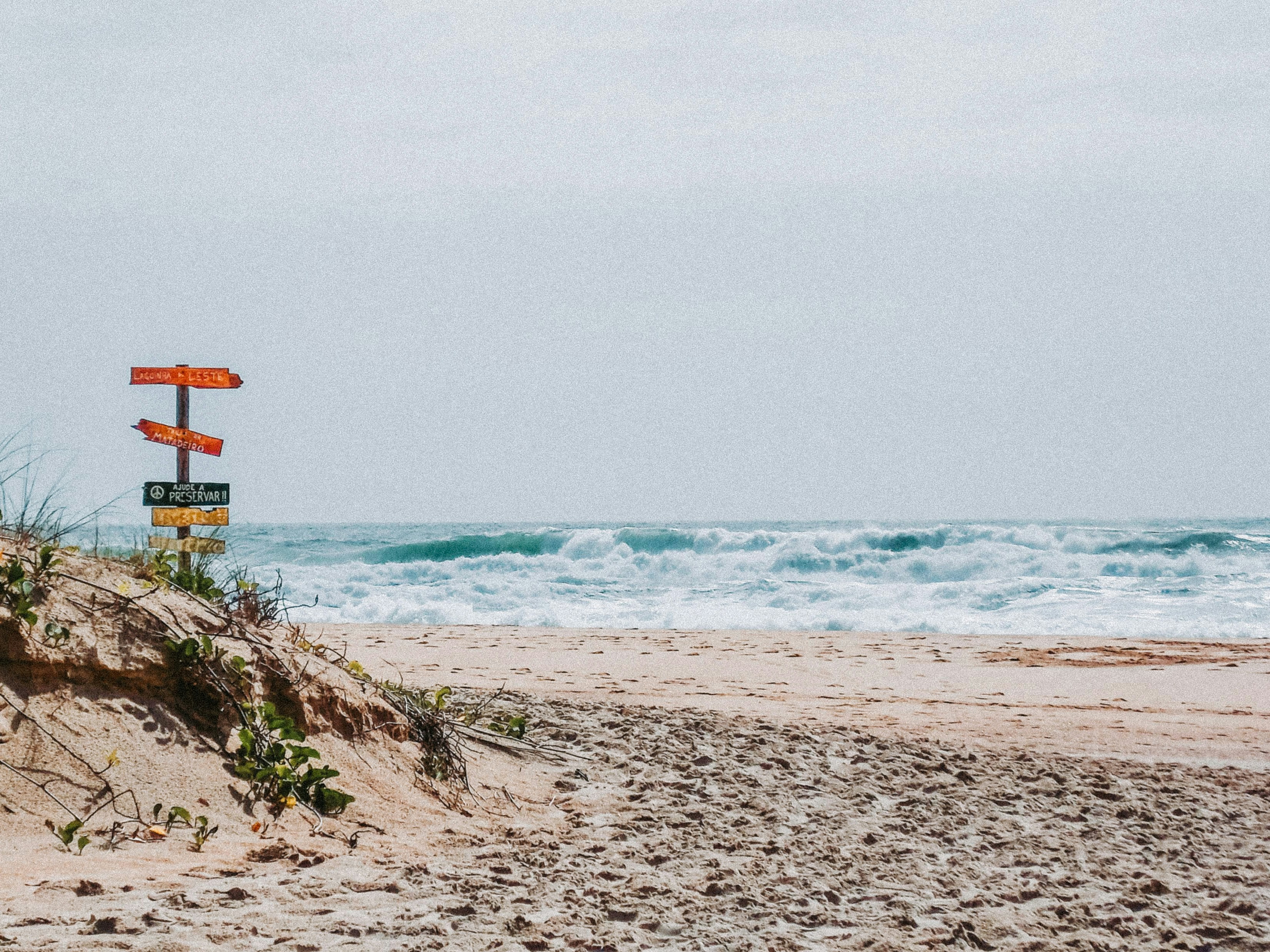 A sign on a beach pointing in different directions photo – Free Water ...