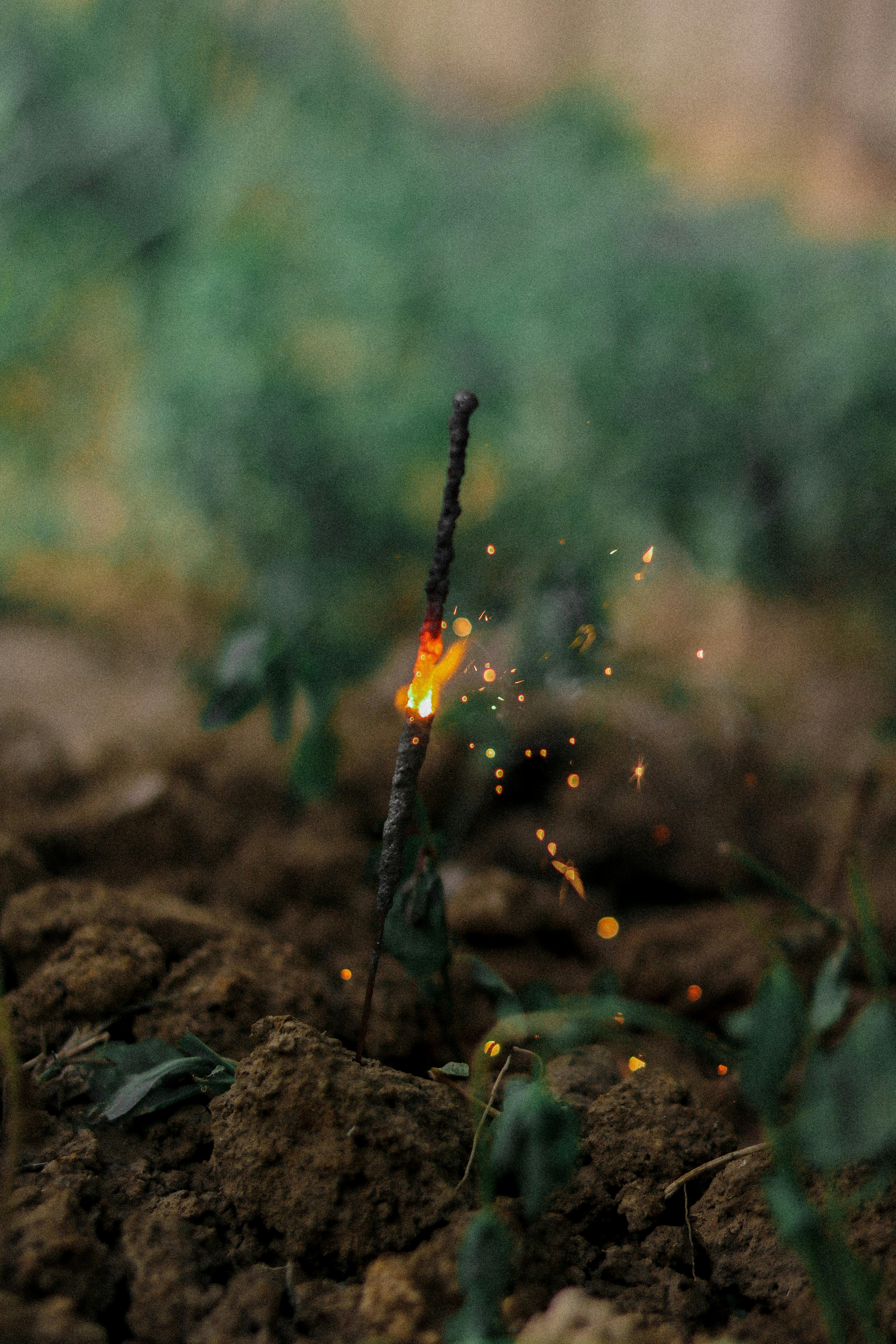 Ember Spike: Sparks on a Lone Twig Amid Fresh Earth