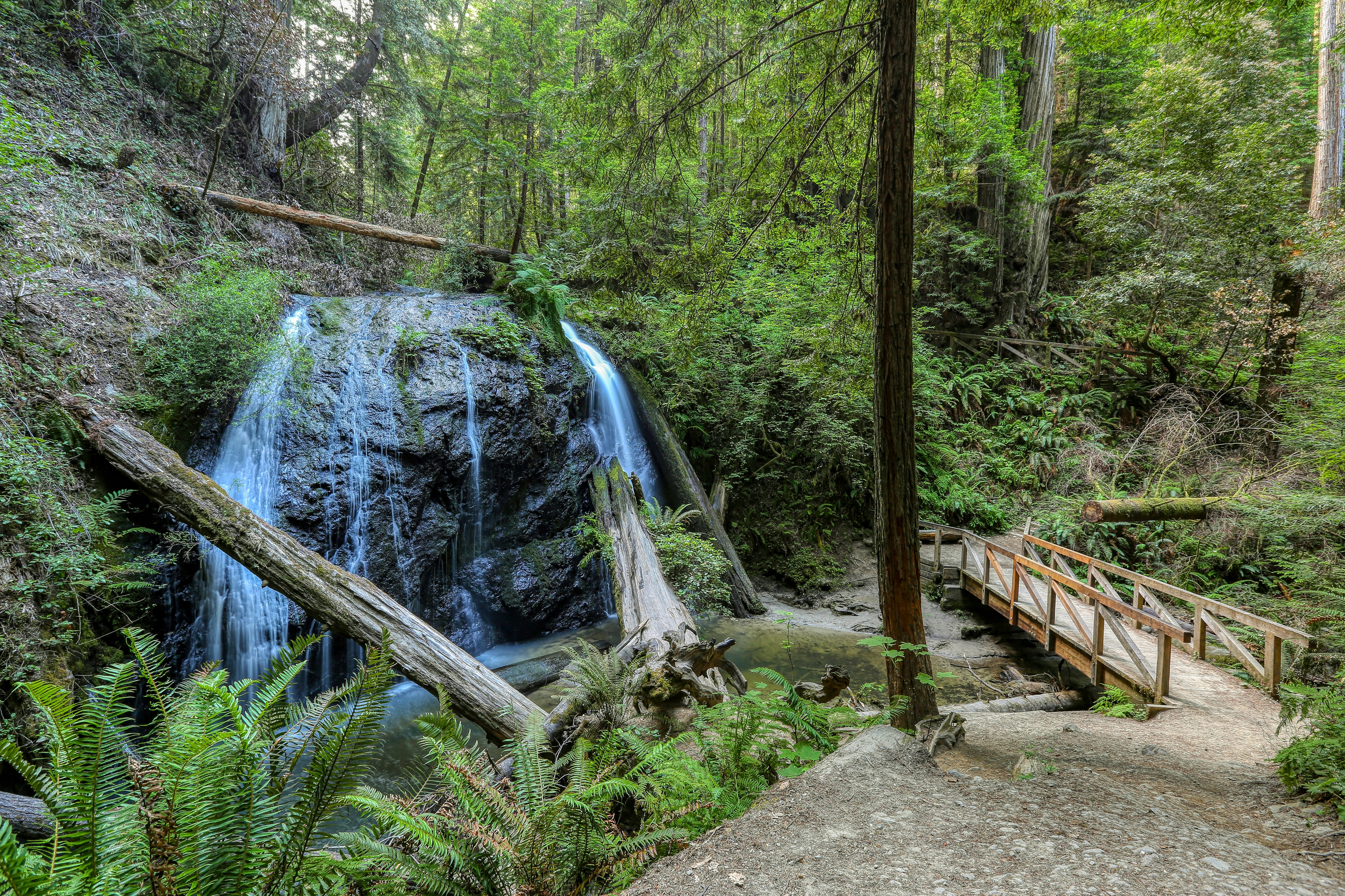 Waterfall cascading over moss-covered rocks surrounded by lush greenery and fallen logs, with a wooden bridge crossing nearby.