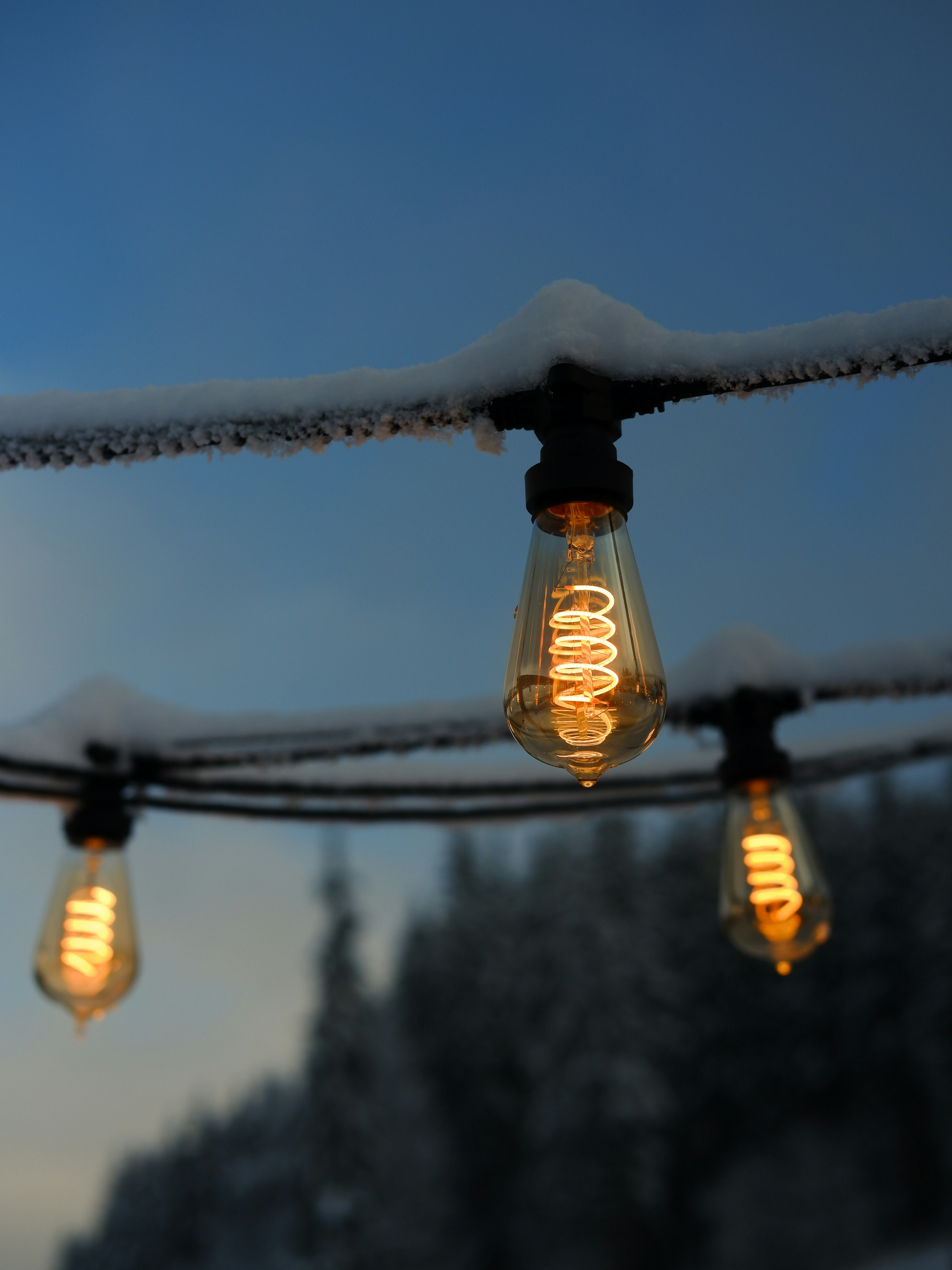 Vintage-style light bulbs suspended from a snowy wire against a twilight sky, creating a warm glow in a chilly landscape.