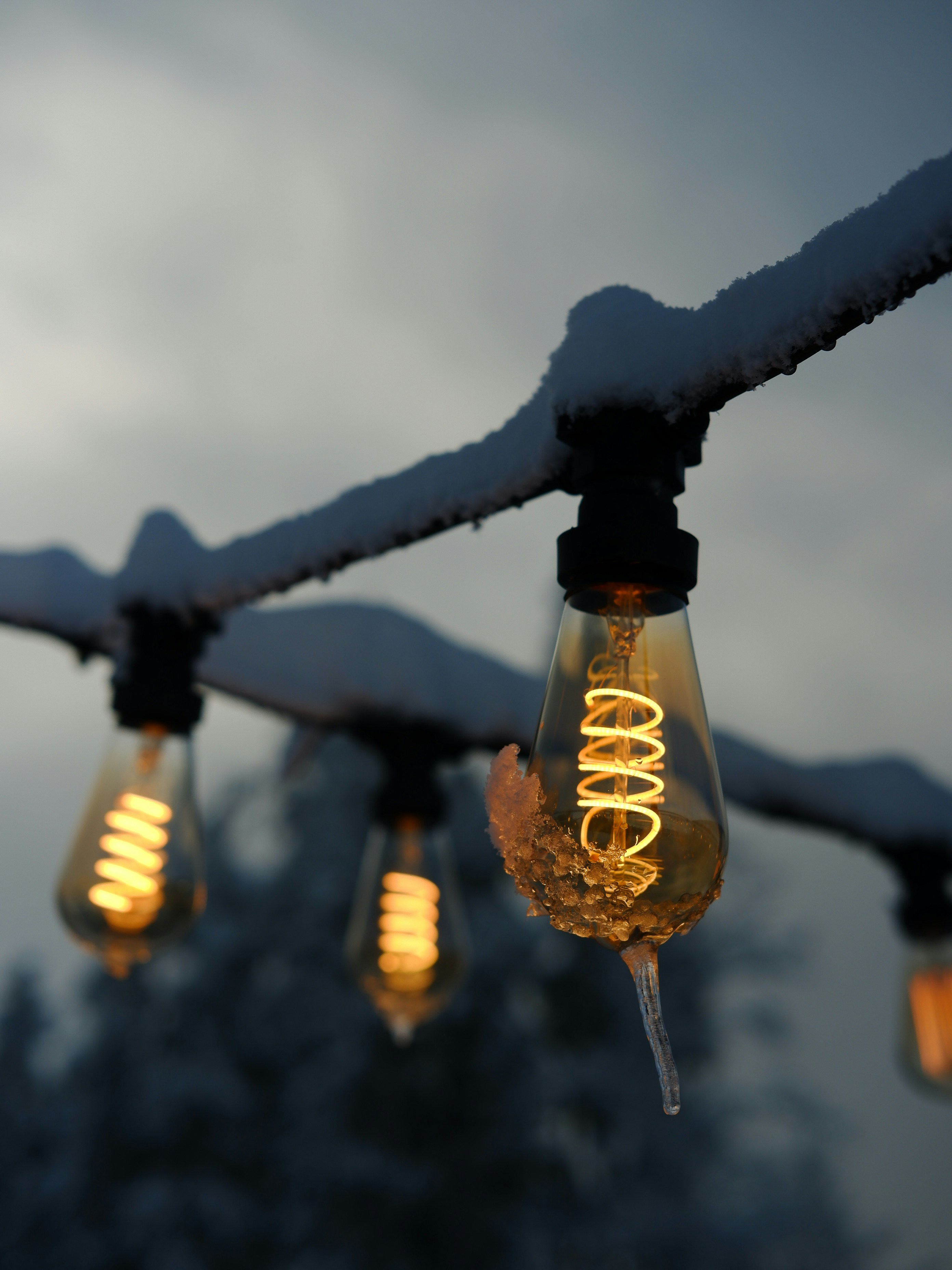 Vintage light bulbs adorned with snow, glowing warmly against a moody winter sky.