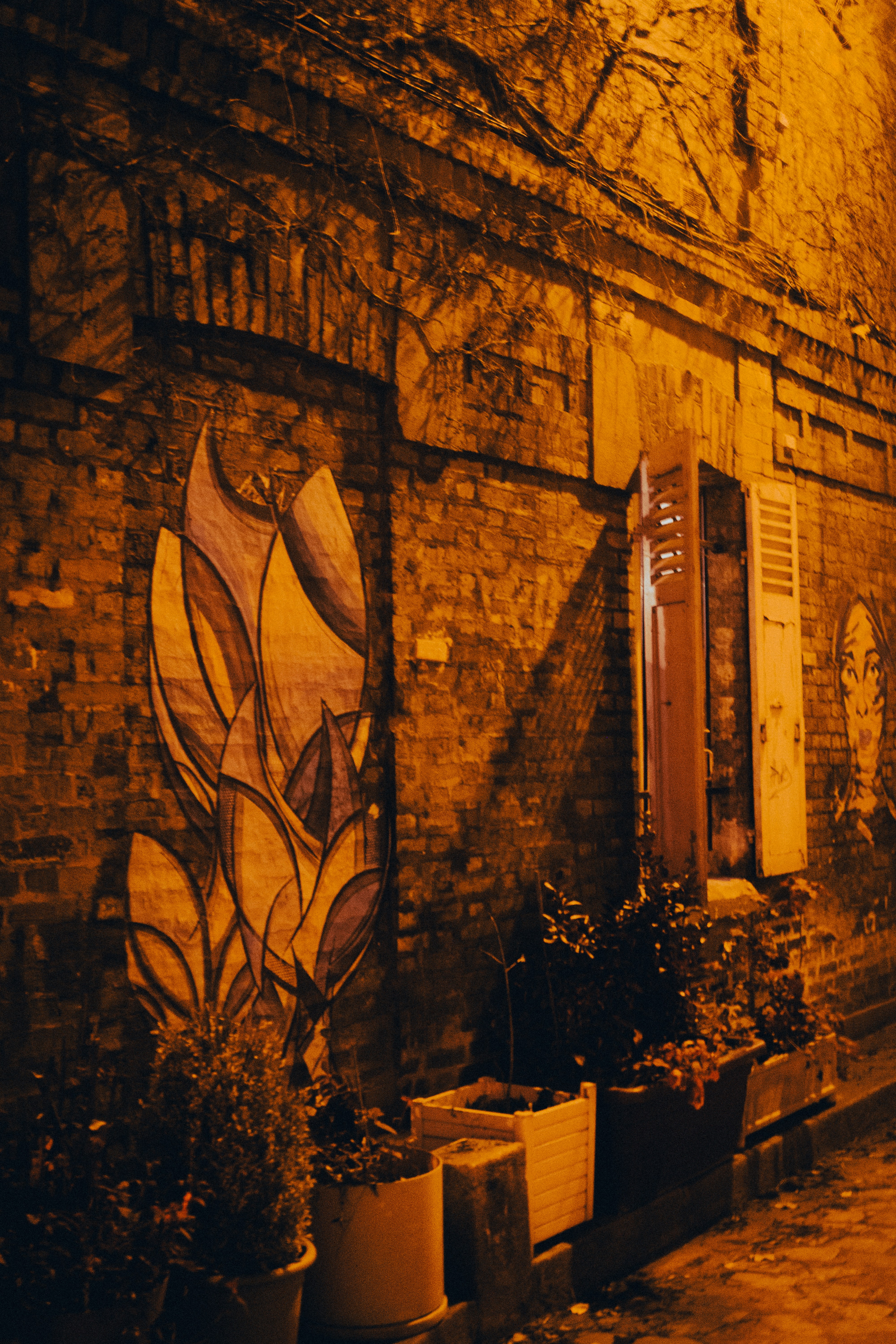 Amber Graffiti Leaves on a Brick Facade, Framed by Pots and a Shuttered Window