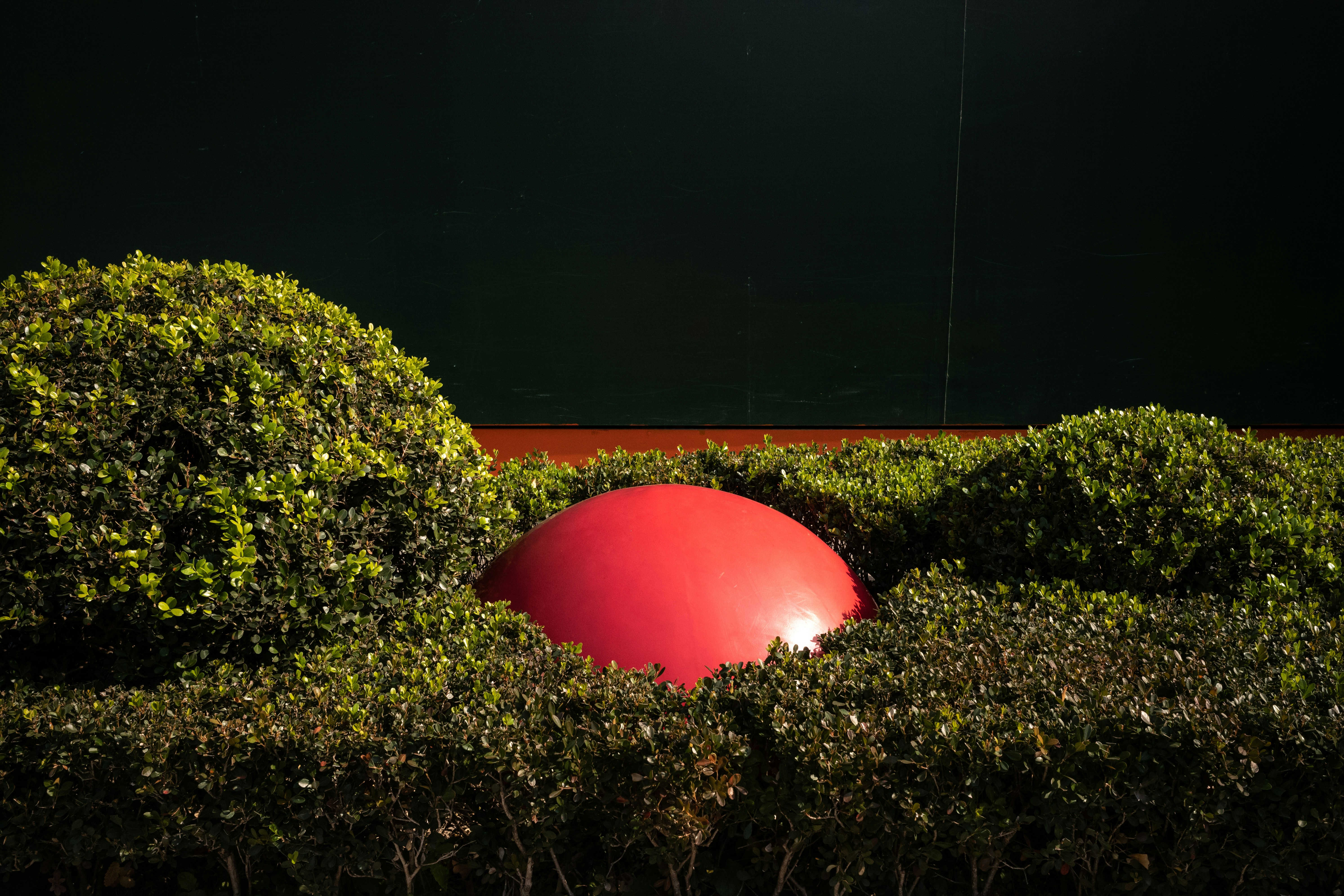 Crimson Dome in a Hedge-Bordered Nightscape