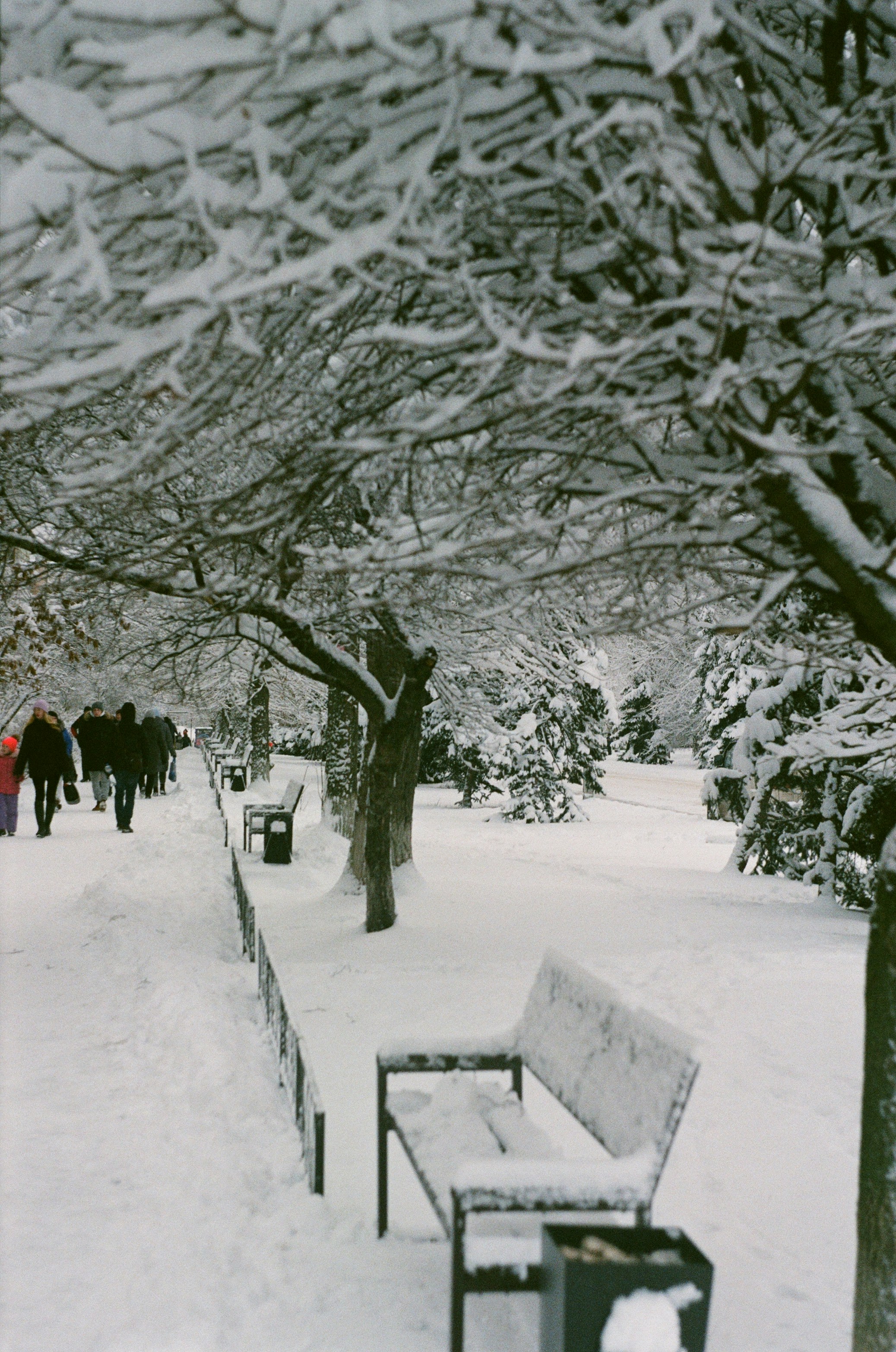 Snow-laden benches line a serene pathway as people meander through a winter wonderland, framed by frosted trees. Tracks in the snow lead the way.