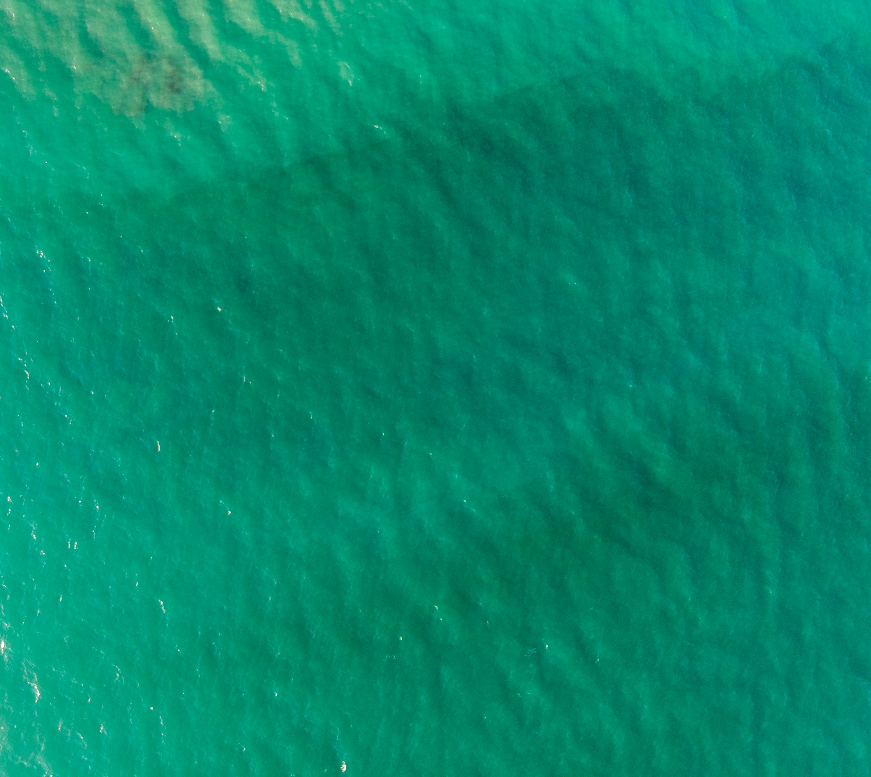 Turquoise Background Pictures | Download Free Images on Unsplash