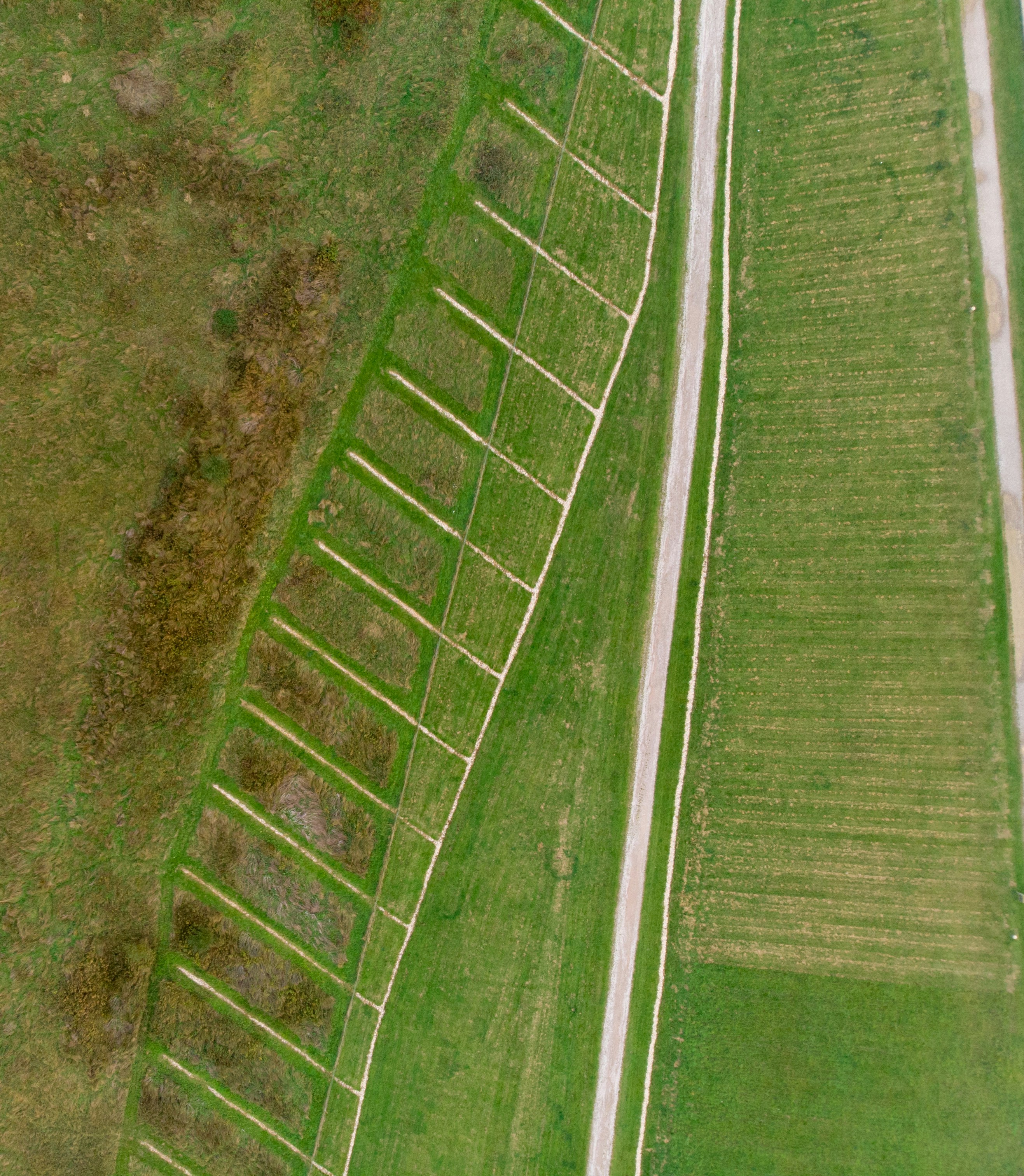 Diagonal Grids and a Quiet Road: Aerial Geometry of Fields