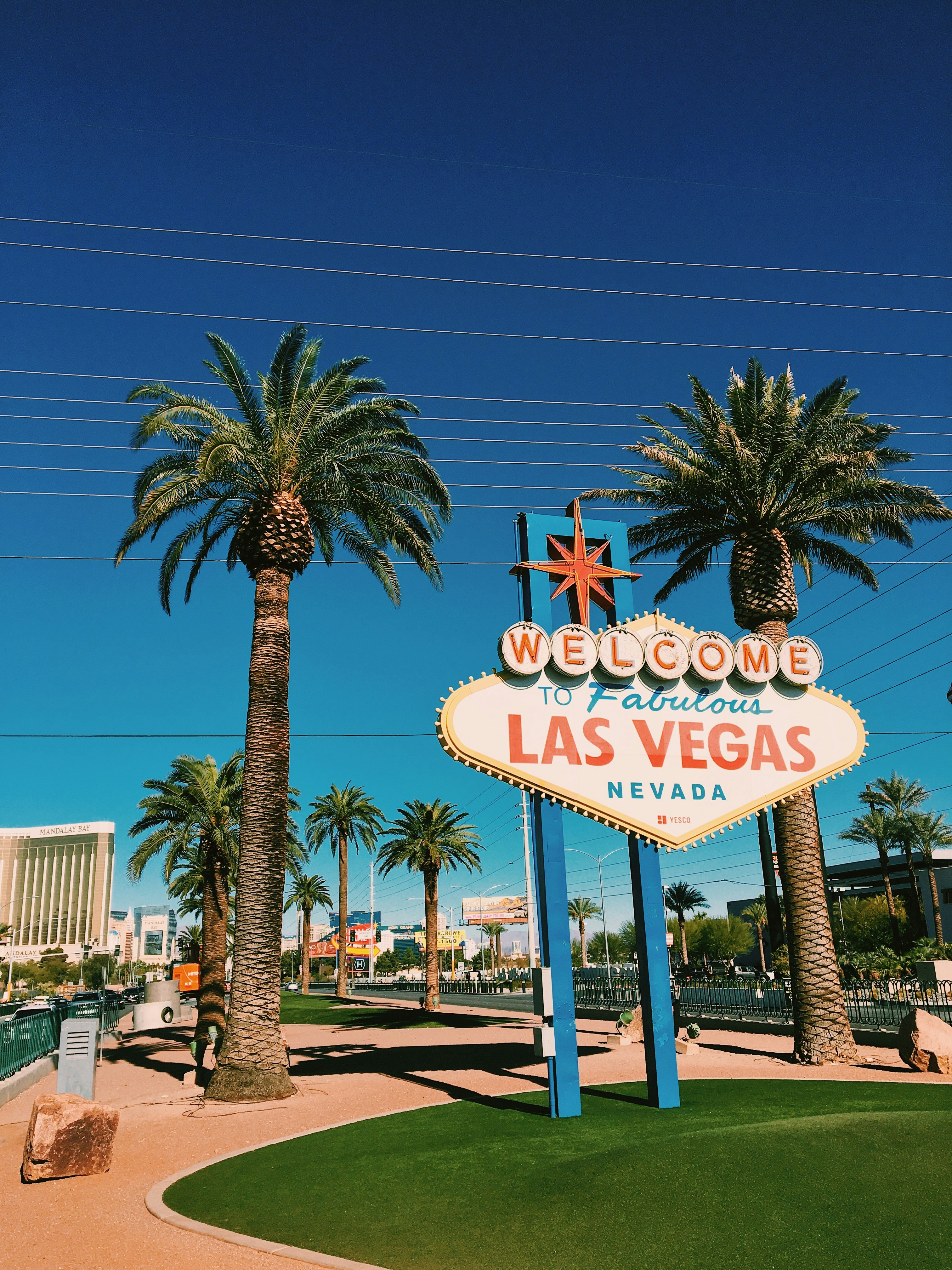 Palm-Shaded Neon Gateway: Welcome to Fabulous Las Vegas