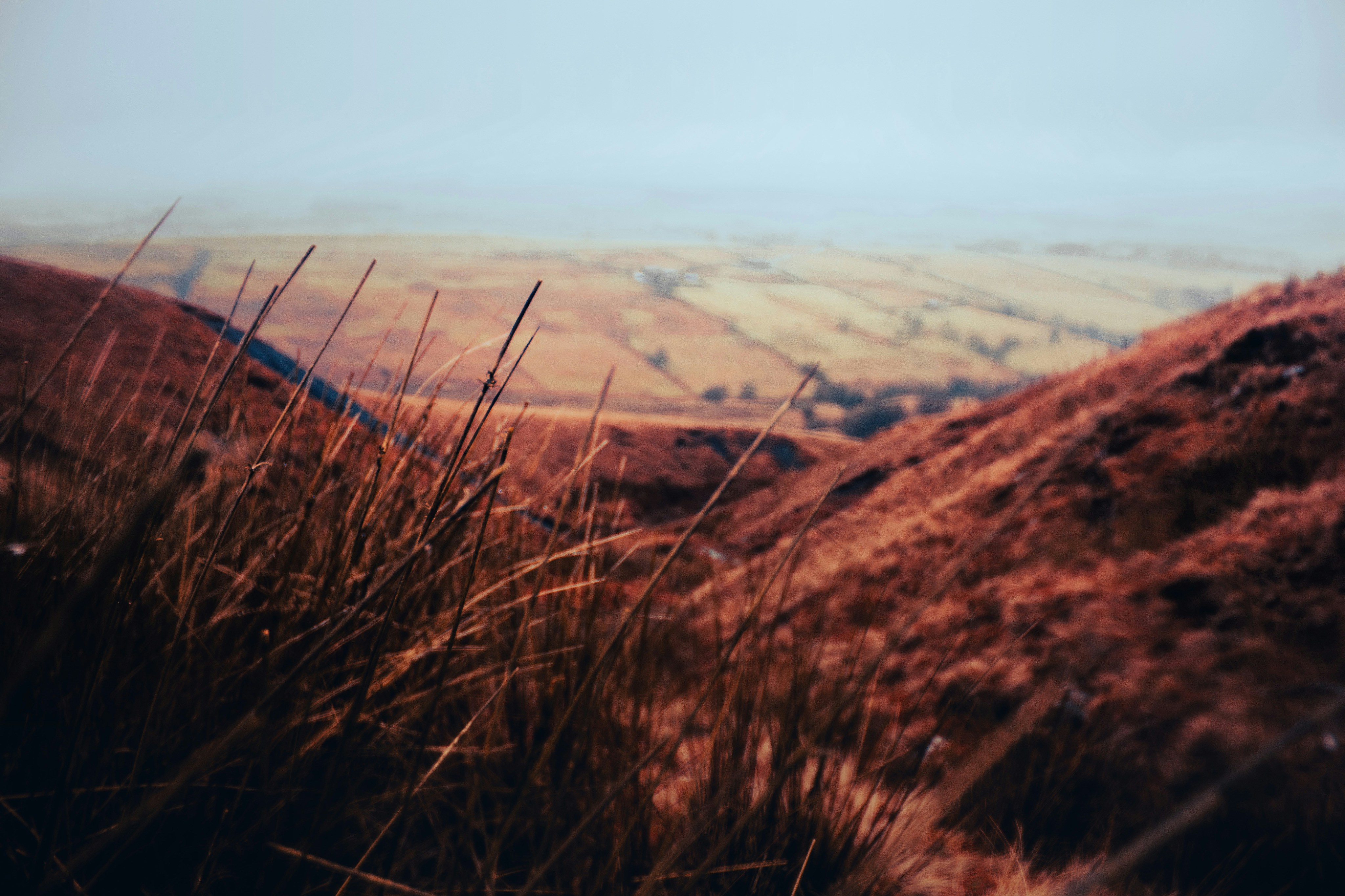 Rolling hills with dry grass and a hazy distant landscape under a soft sky.