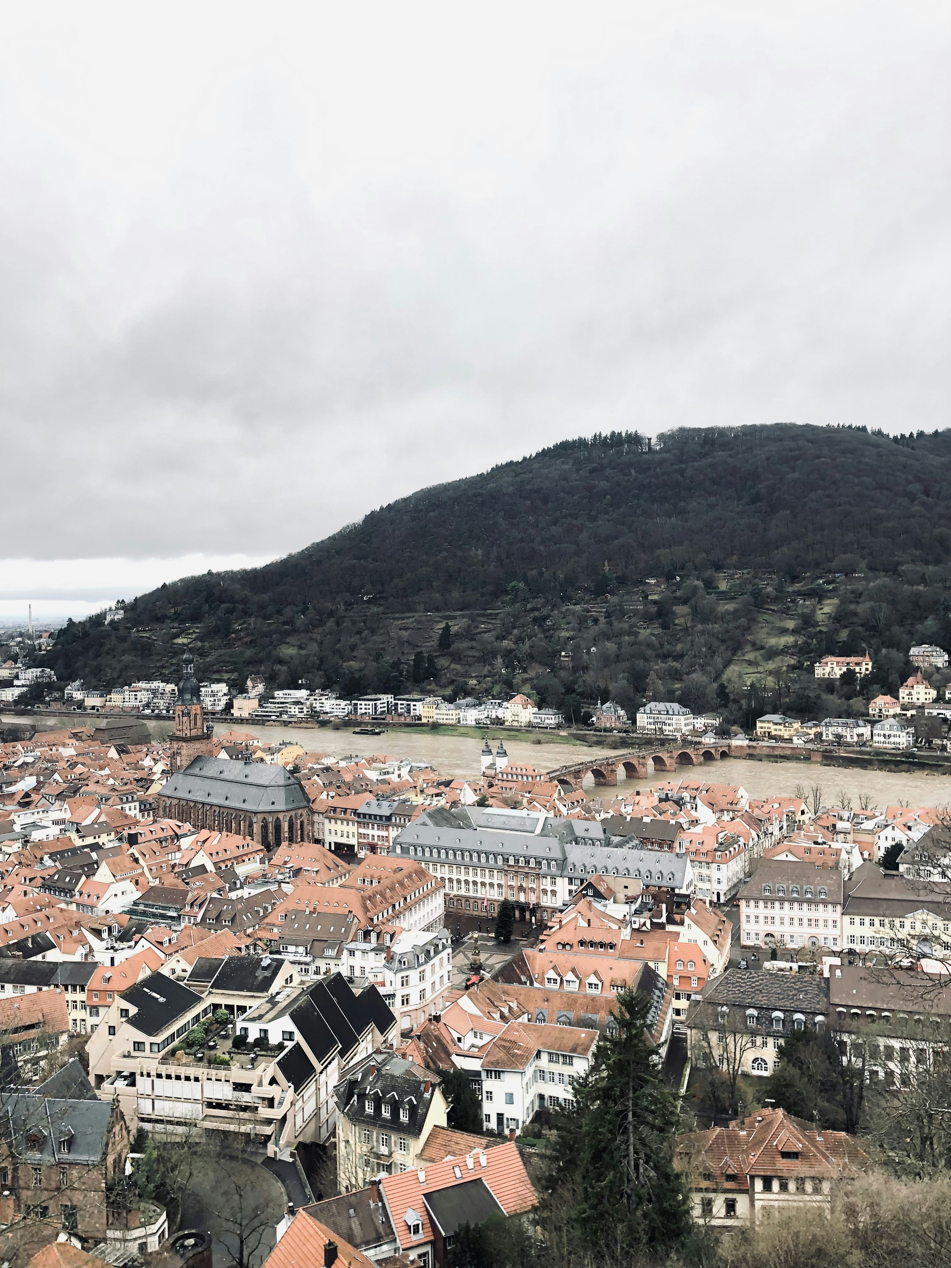 Terracotta Rooftops Against Verdant Hills