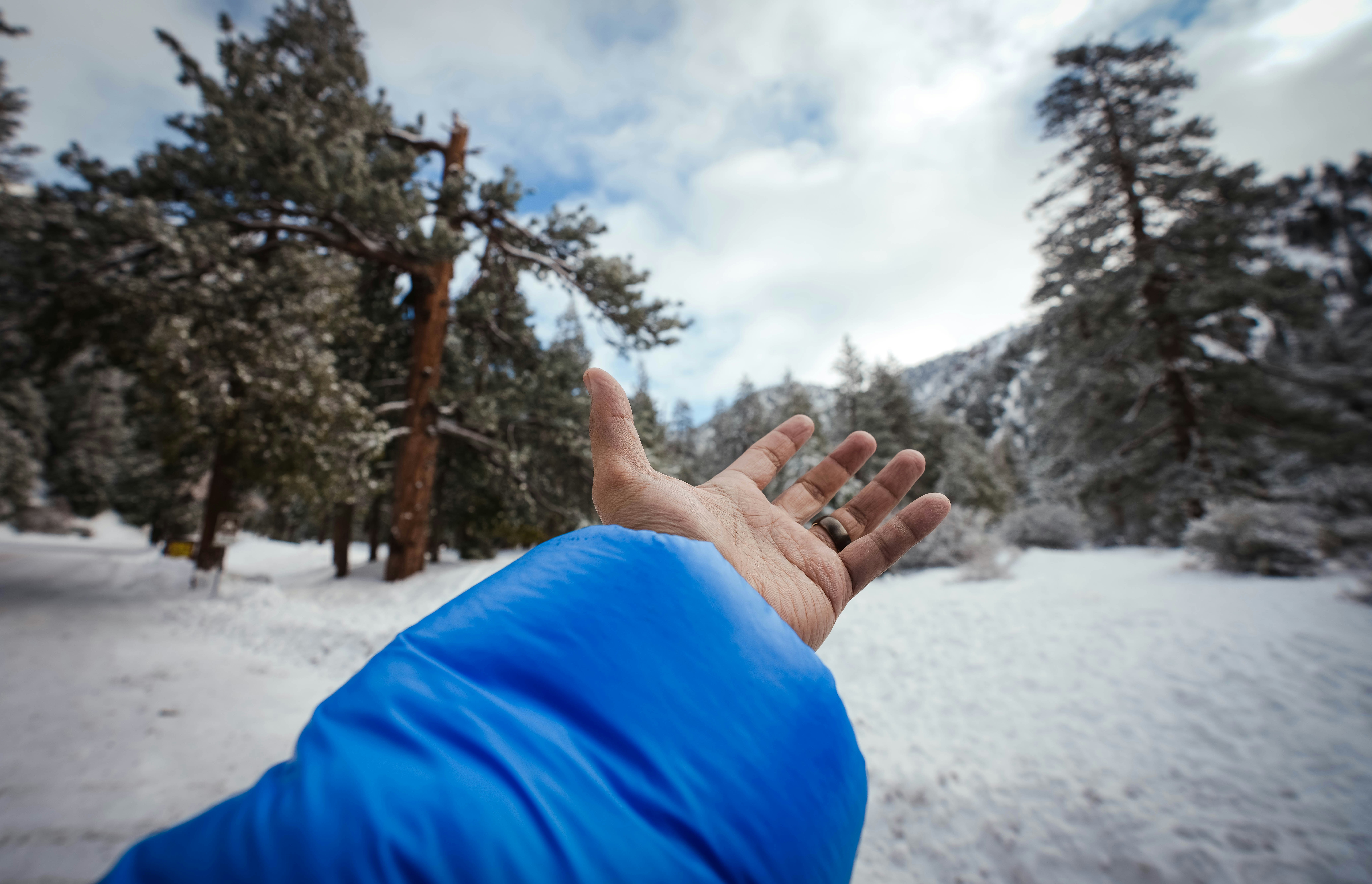 Winter Reach: A Blue-Sleeved Hand Reaches into a Snow-Covered Forest
