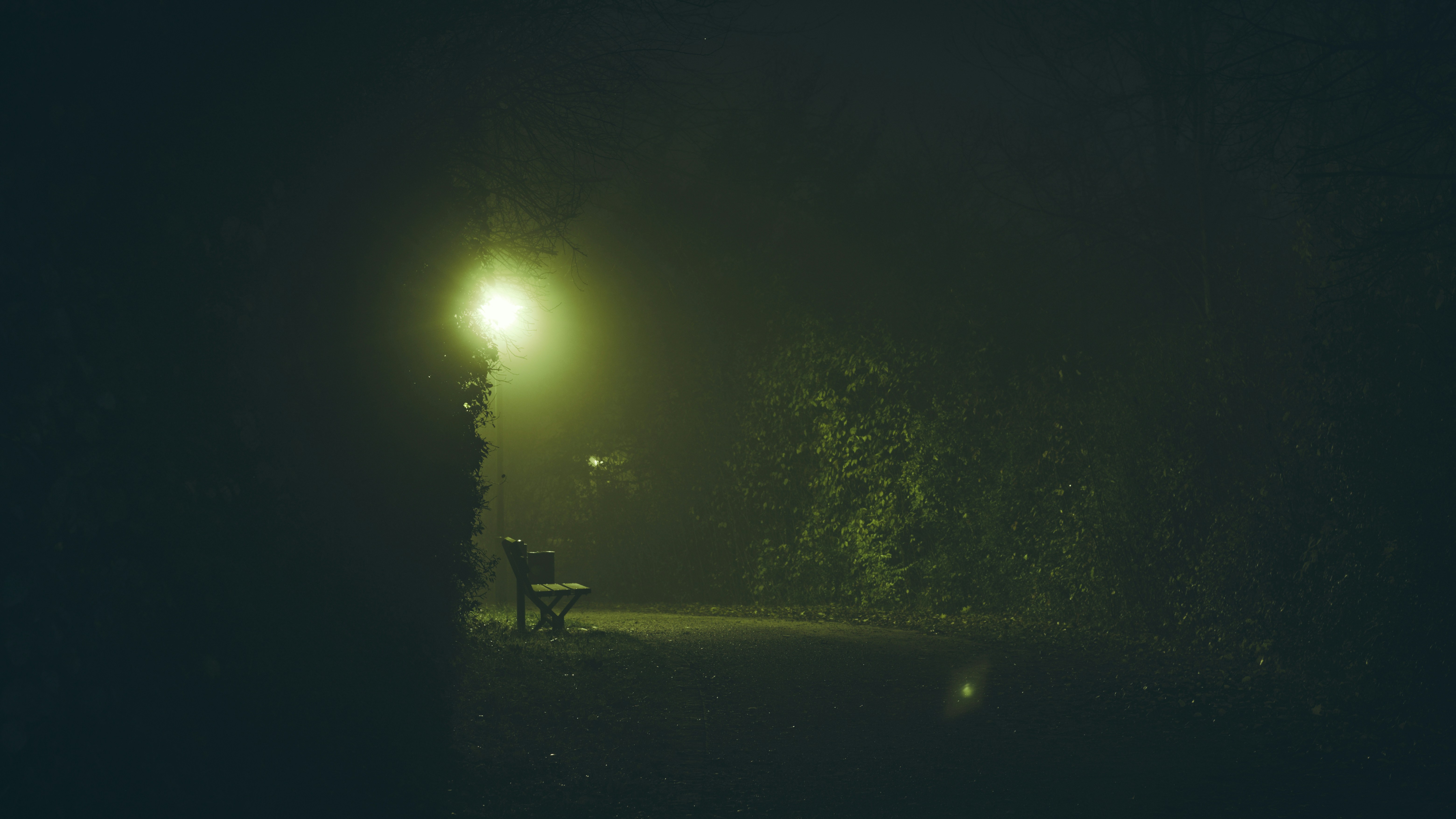 A park bench sitting under a street light at night photo – Free Bench ...