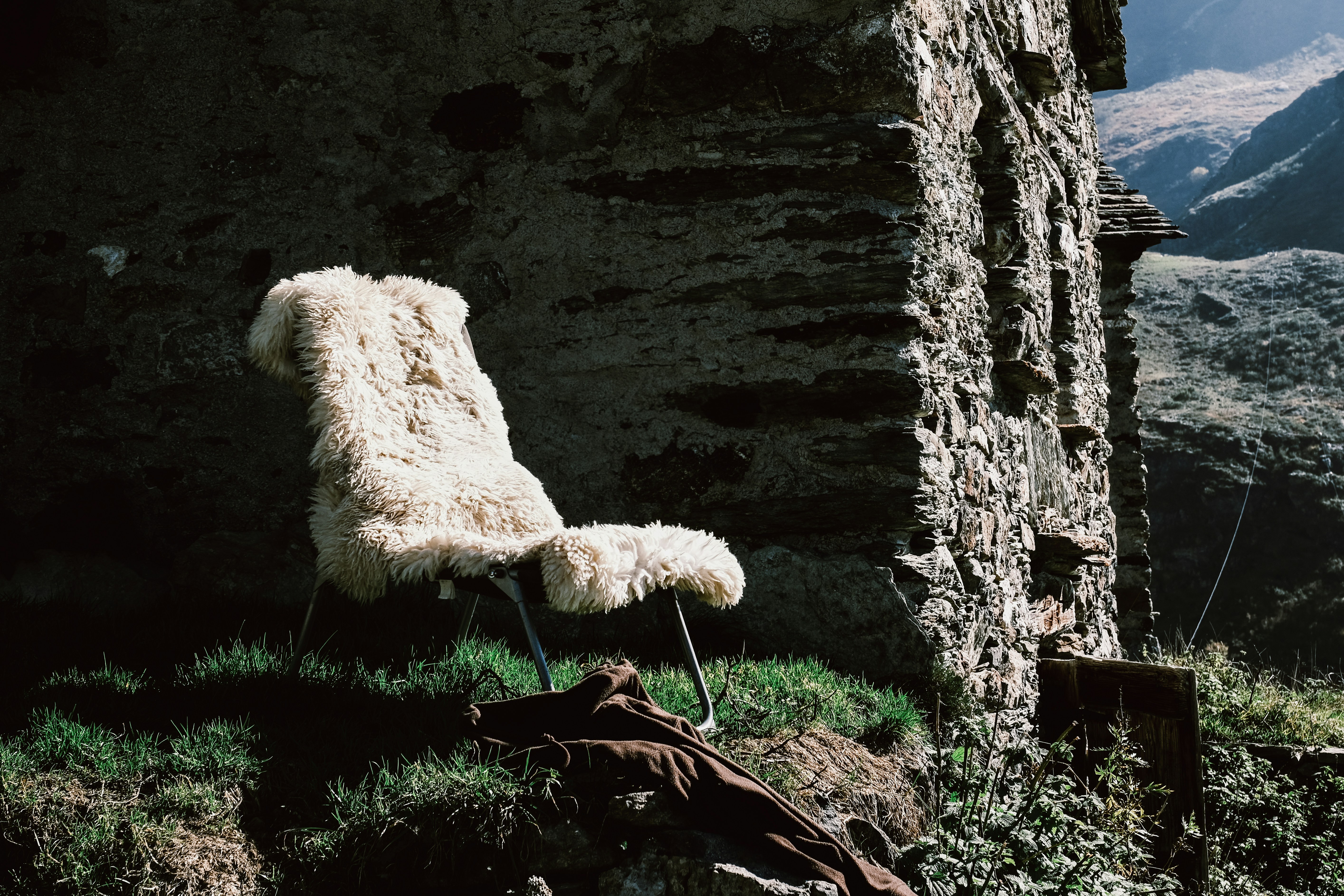 Whispers of Solitude: A Chair Embraced by Nature