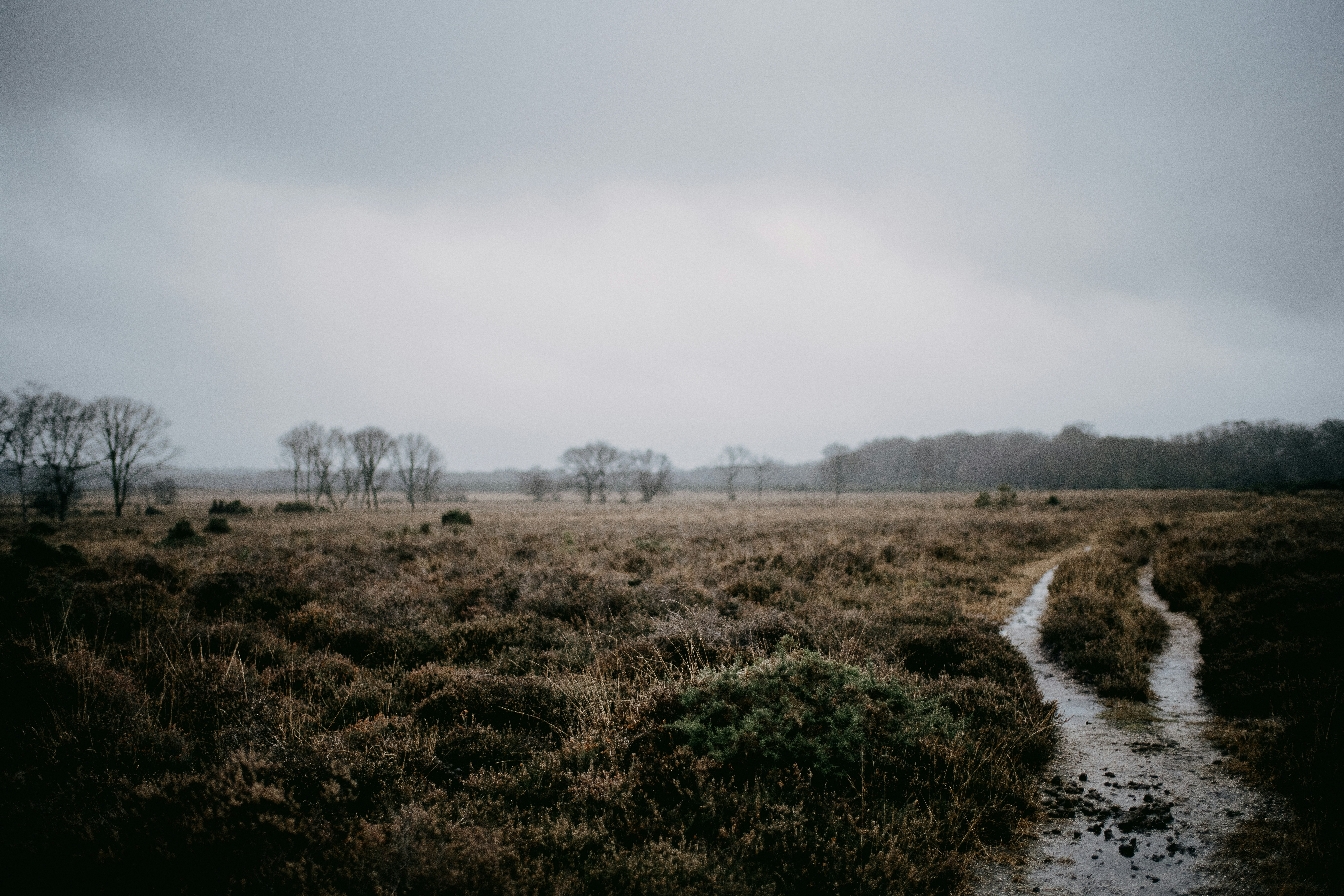 A wet field with a stream running through it photo – Free Countryside ...