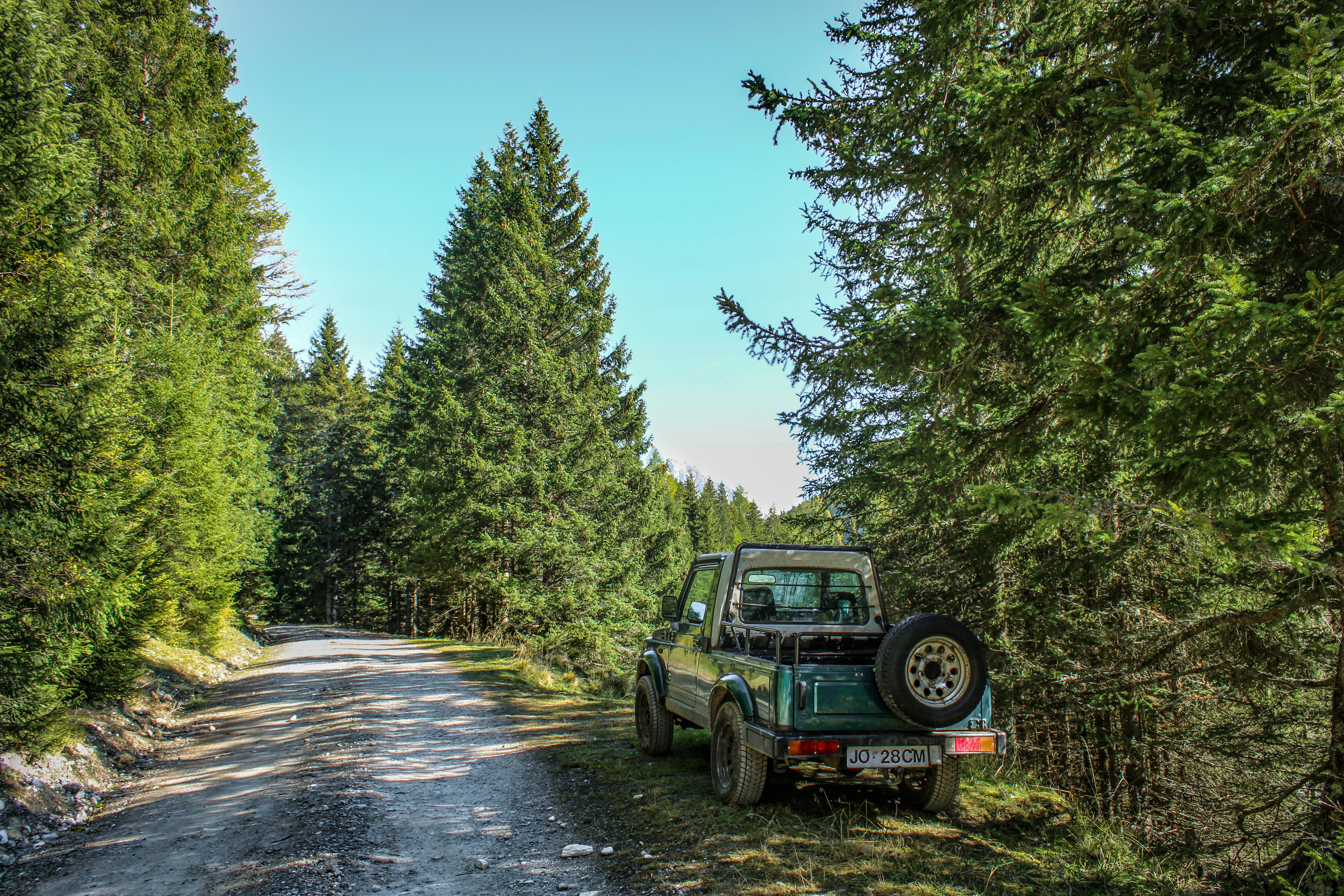 Forest Road Escape: A Green Jeep Resting by the Pines