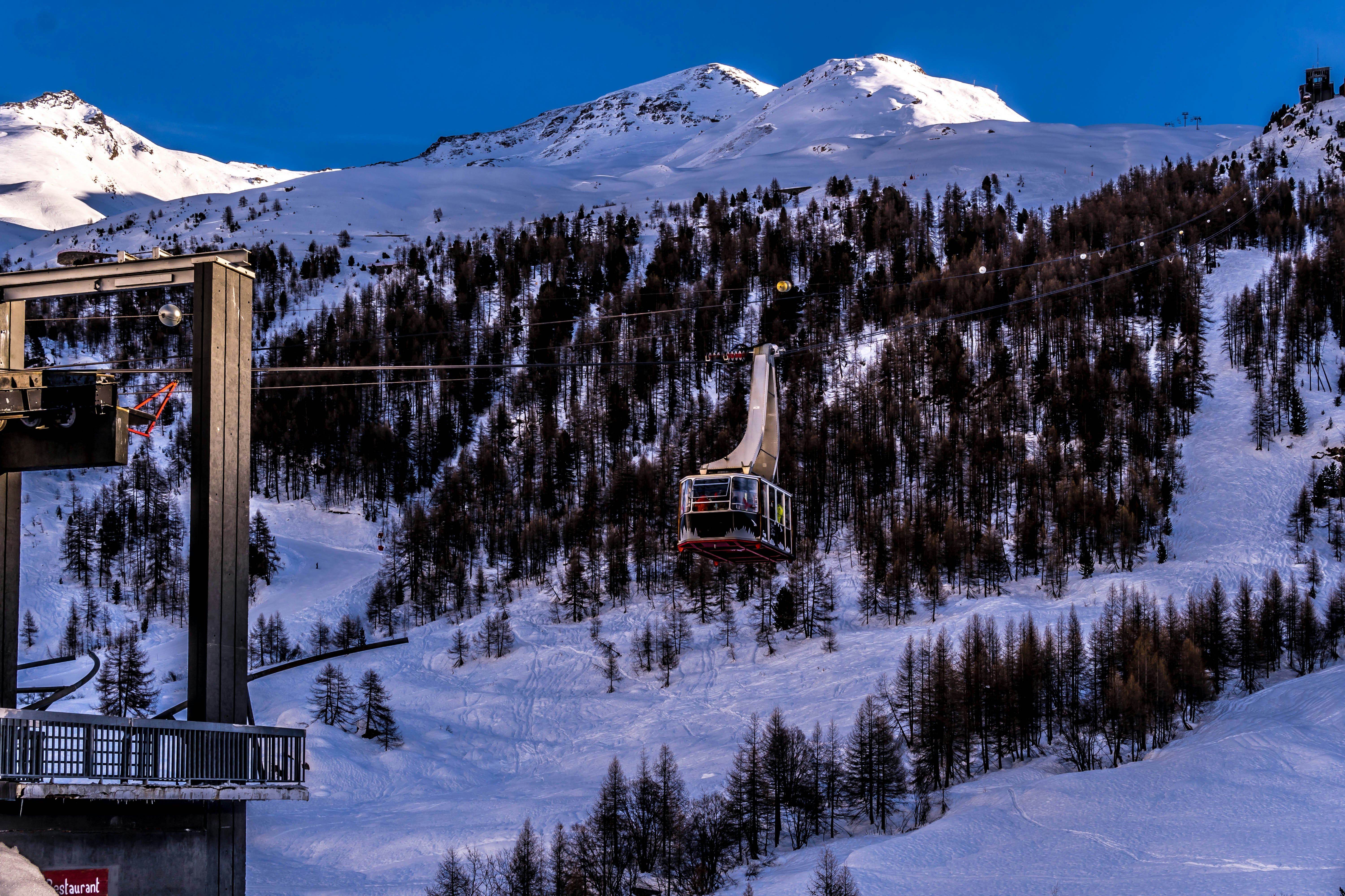 Alpine Blue Ascent: Cable Car Across Snow-Kissed Pines