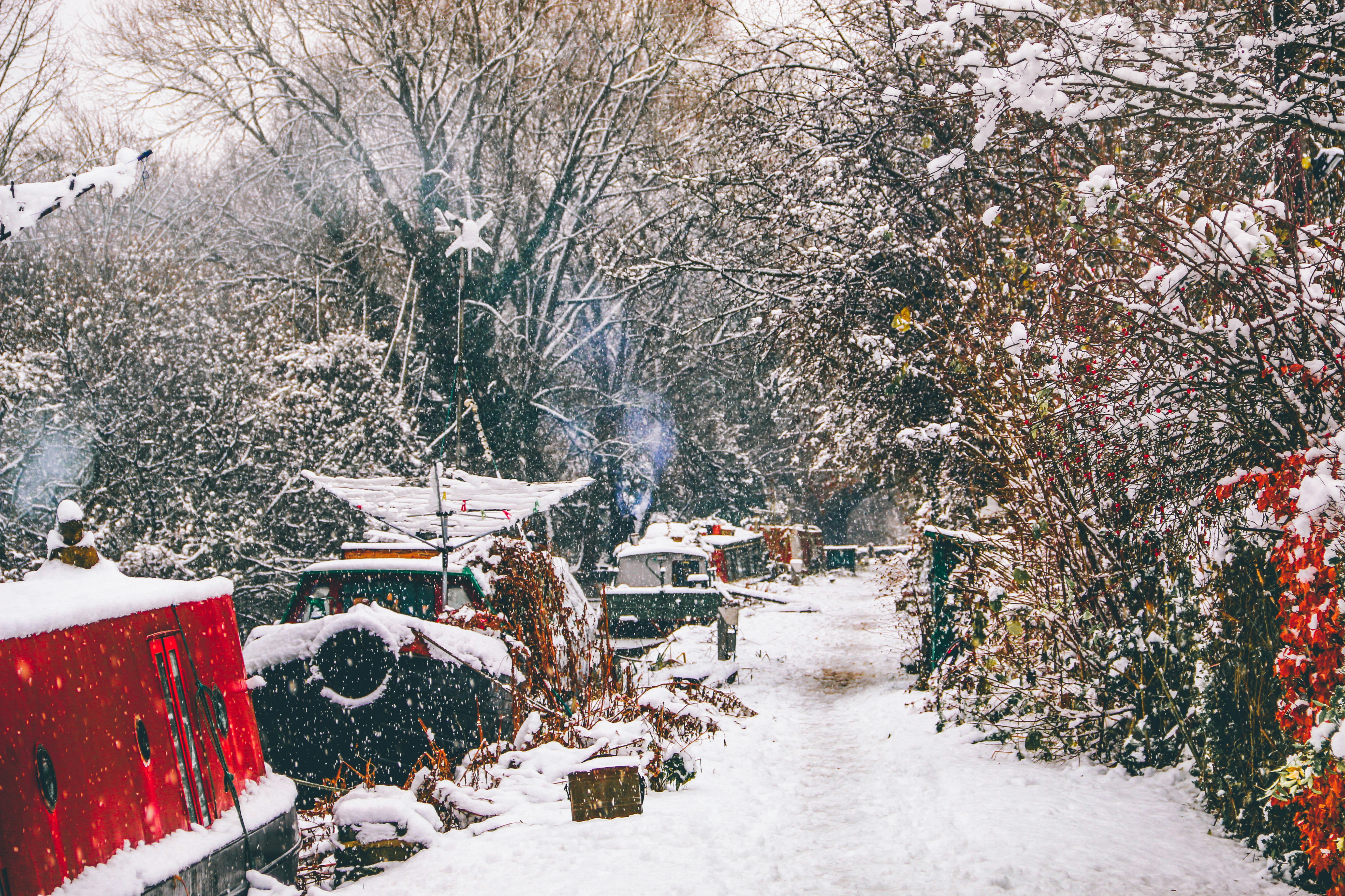 Snowy Lane of Hoarded Quiet