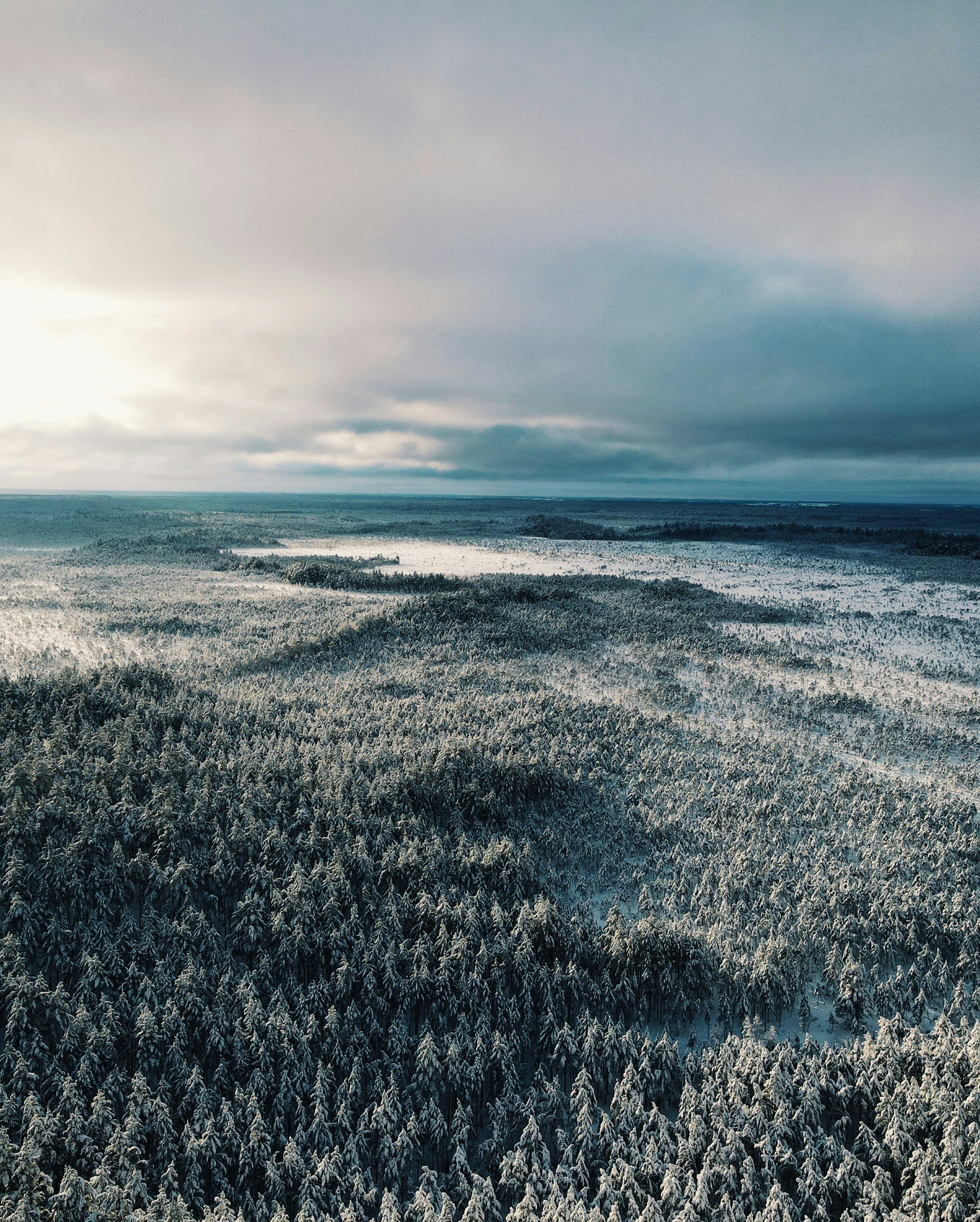 A vast expanse of snow-covered forest stretching into the horizon under a moody sky. The scene captures the serene beauty of a winter landscape.