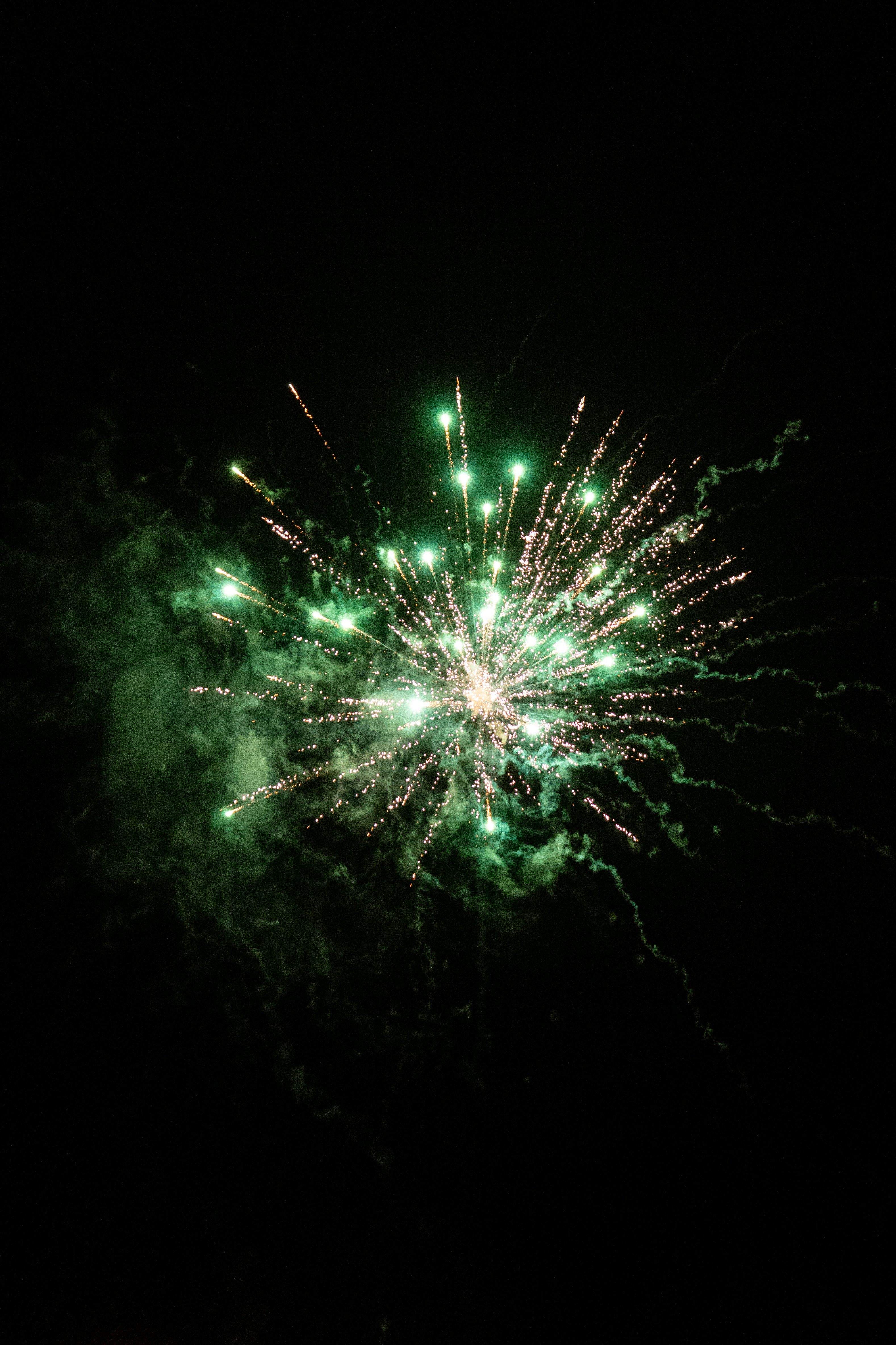 A green and white firework in the night sky photo – Free Nature Image ...