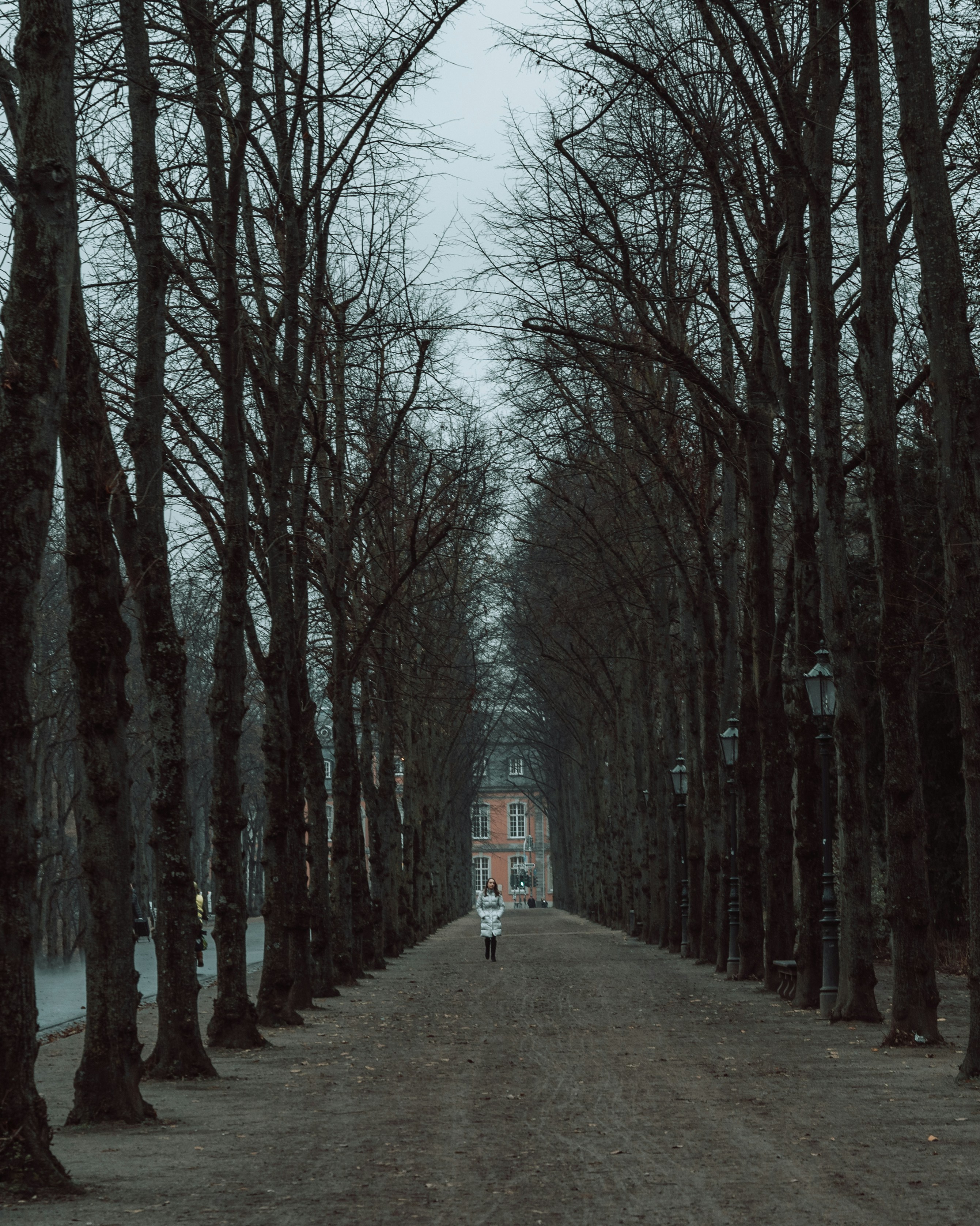 a person walking down a dirt road between trees