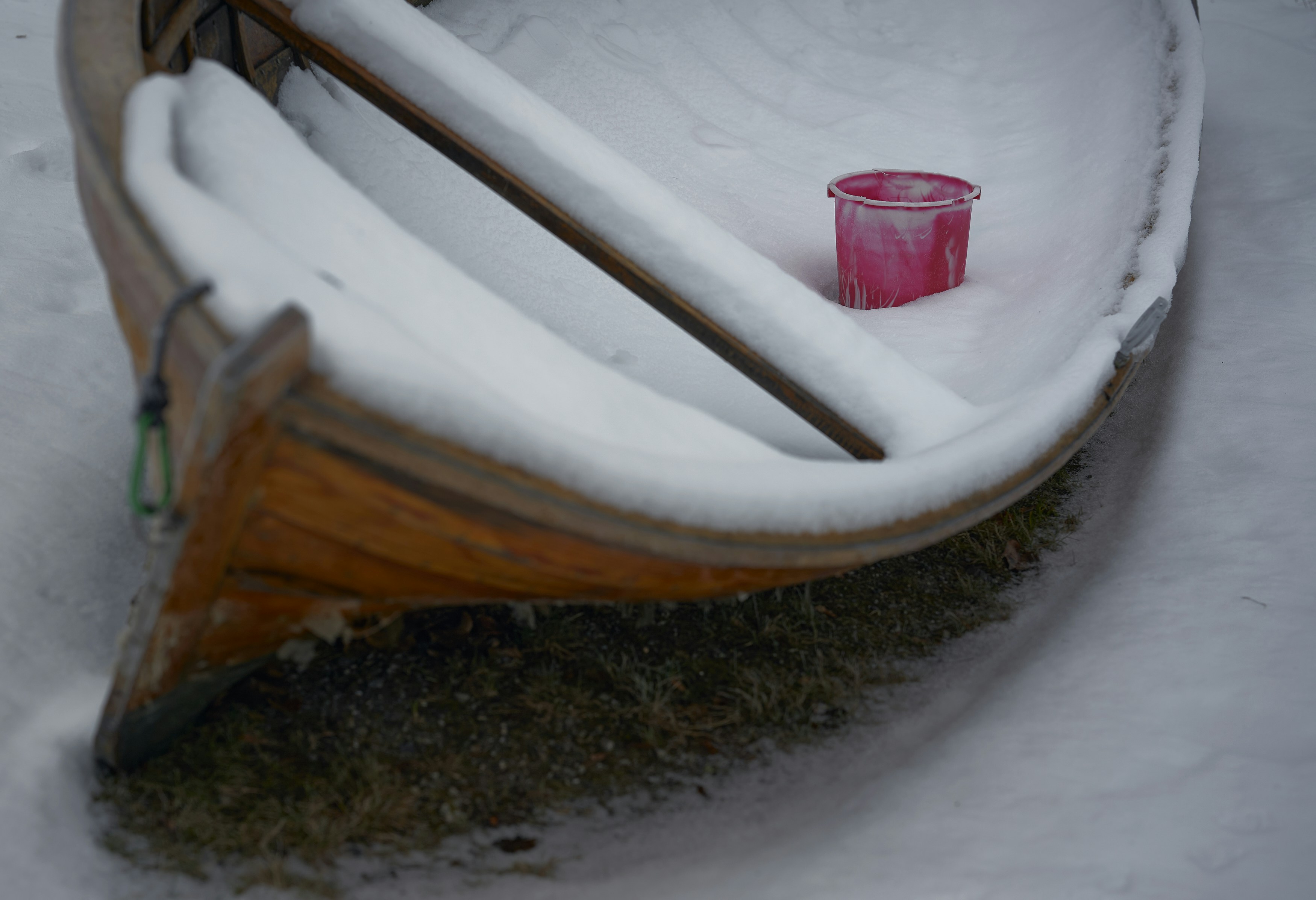 Pink Beacon in a Snowbound Boat