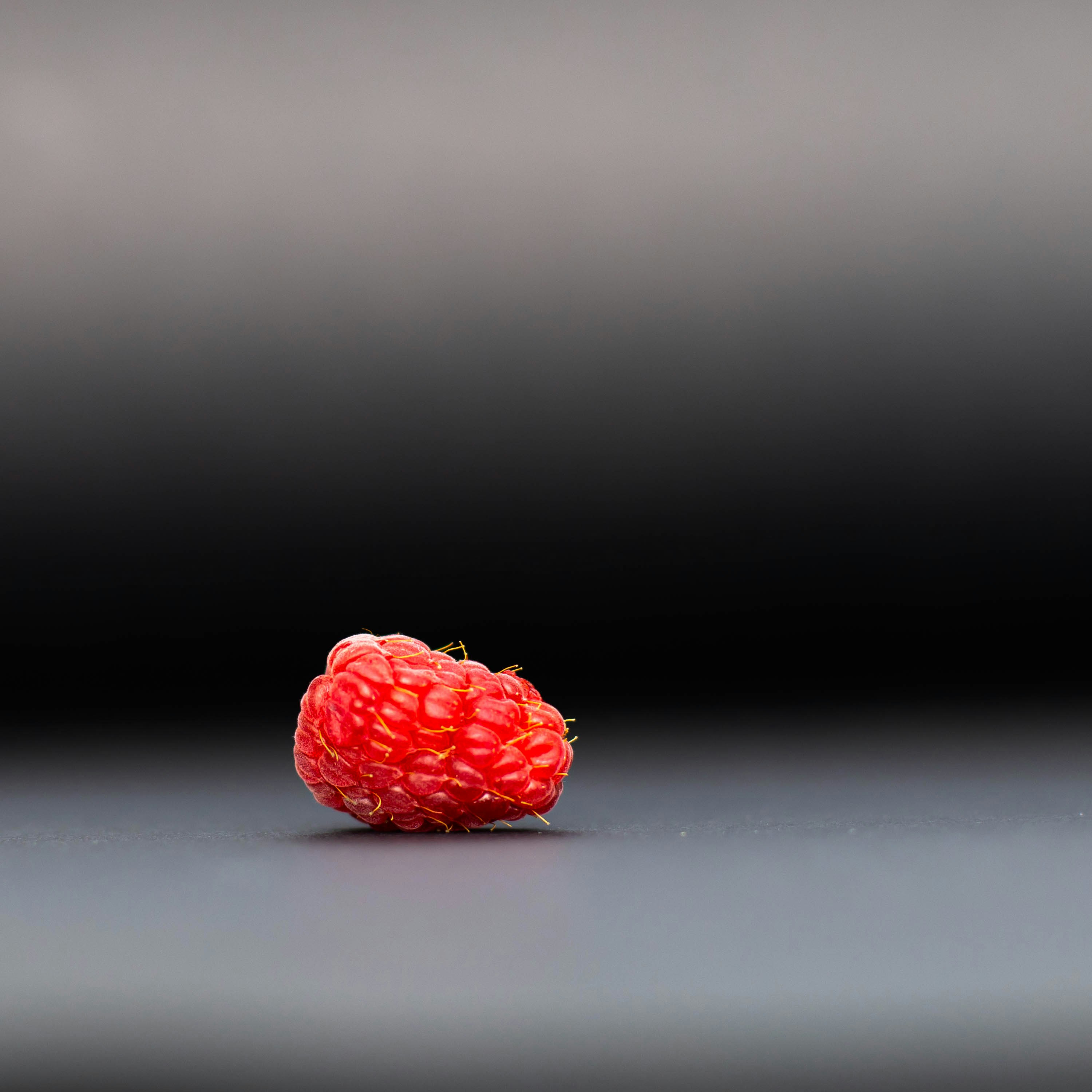 Une seule framboise assise sur une table photo – Photo Framboise ...