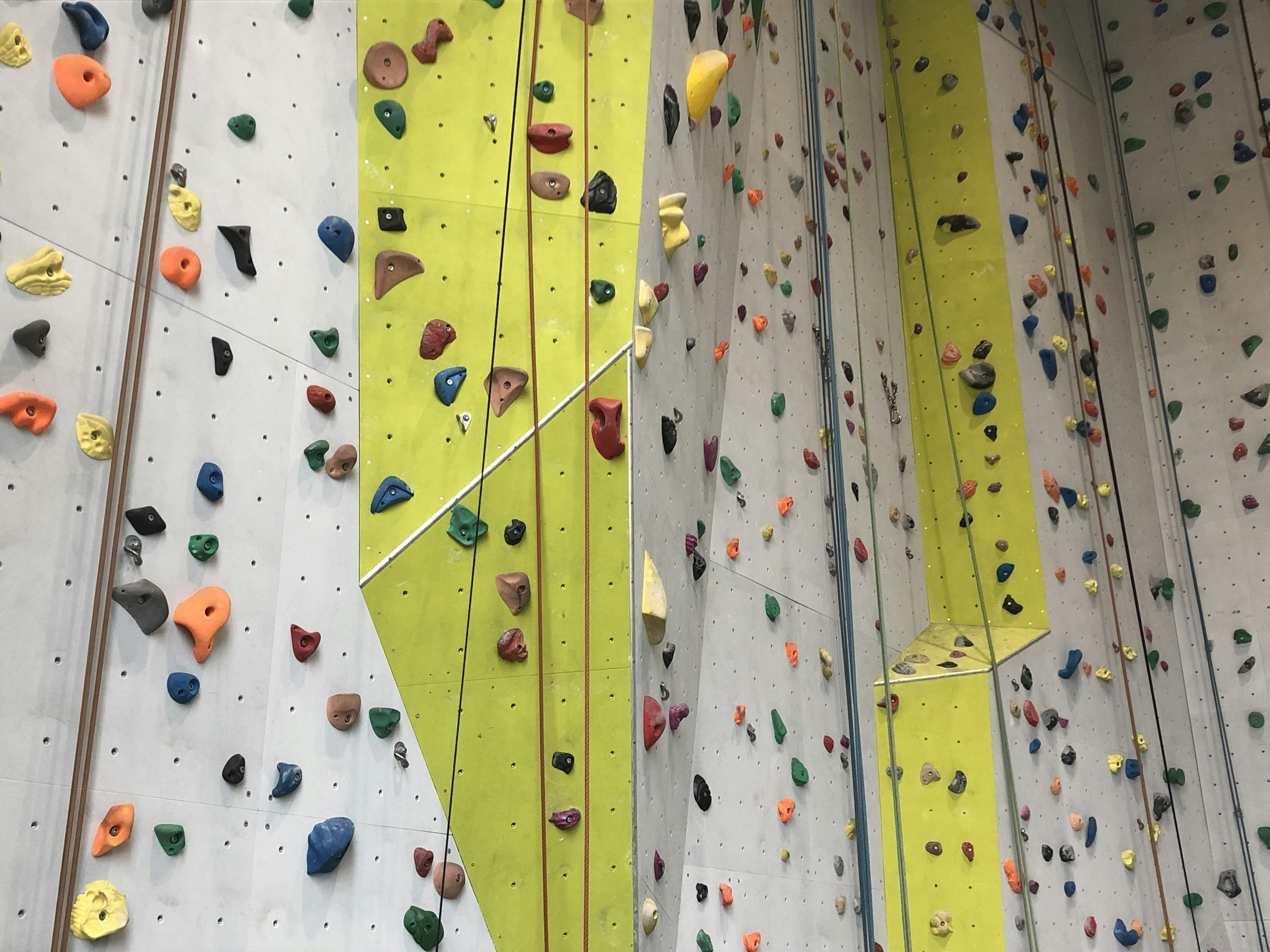 A climbing wall filled with lots of different colored rocks photo ...