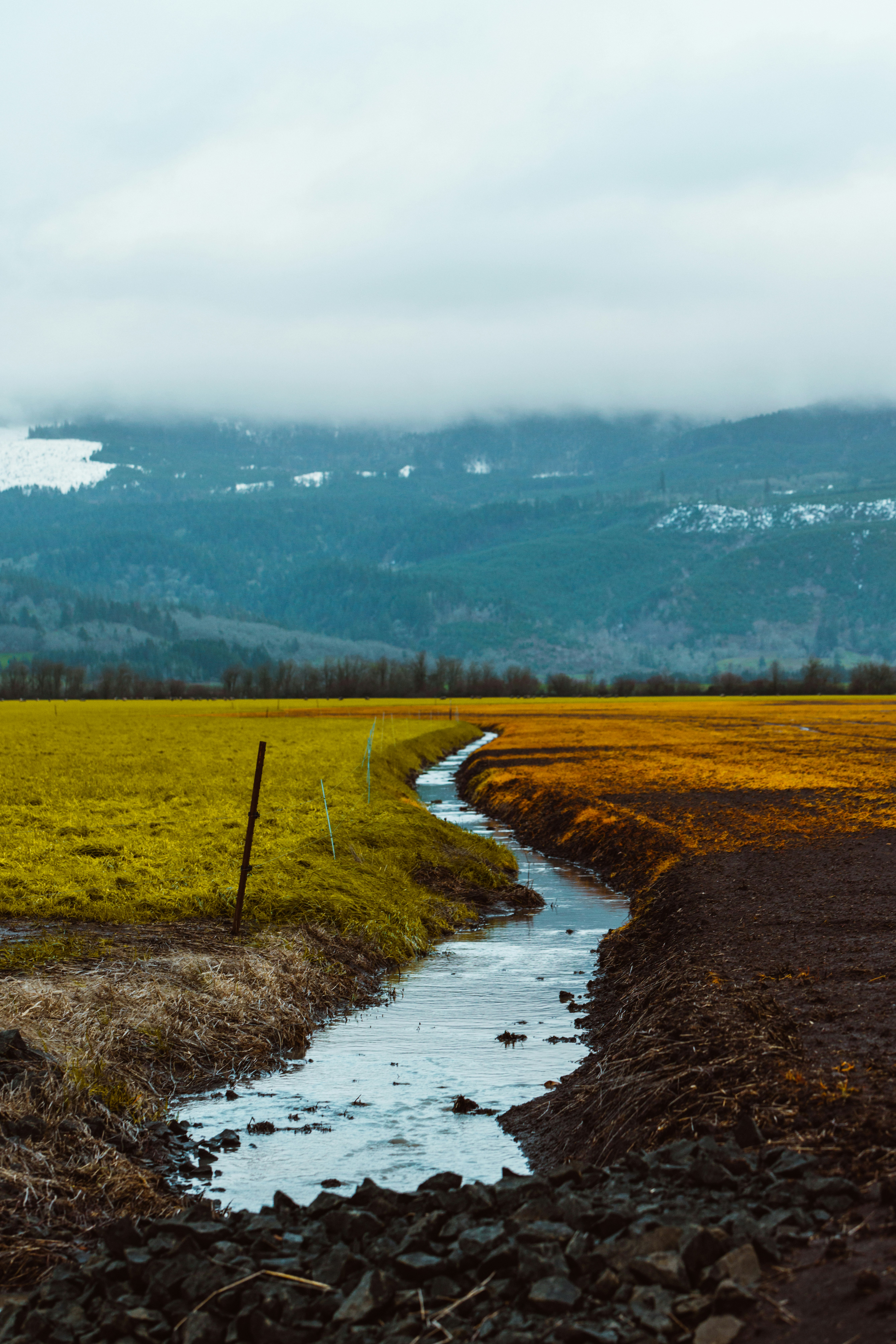 A stream running through a field next to a lush green hillside photo ...