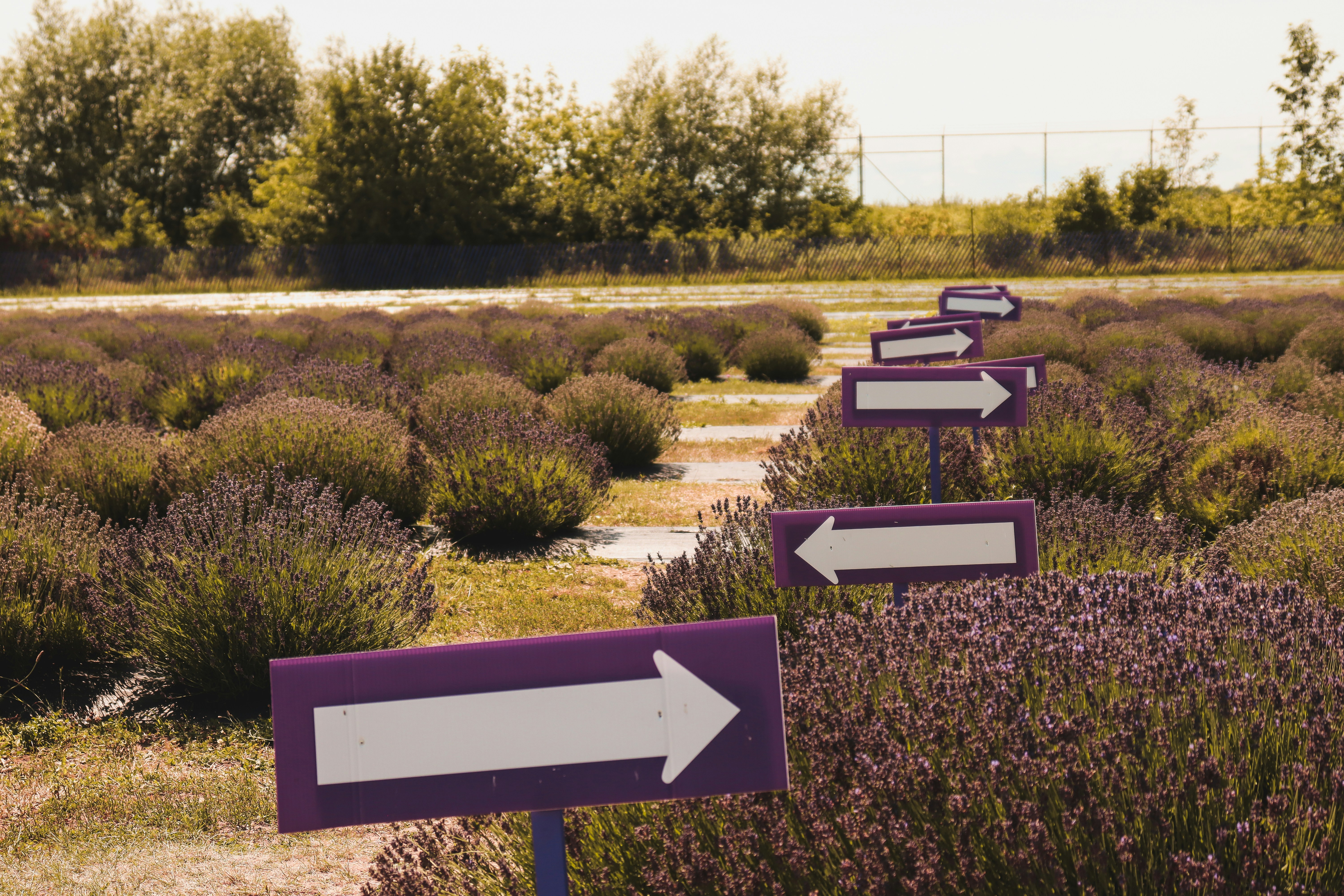 Un tas de signes qui sont dans un champ photo – Photo Municipalité ...