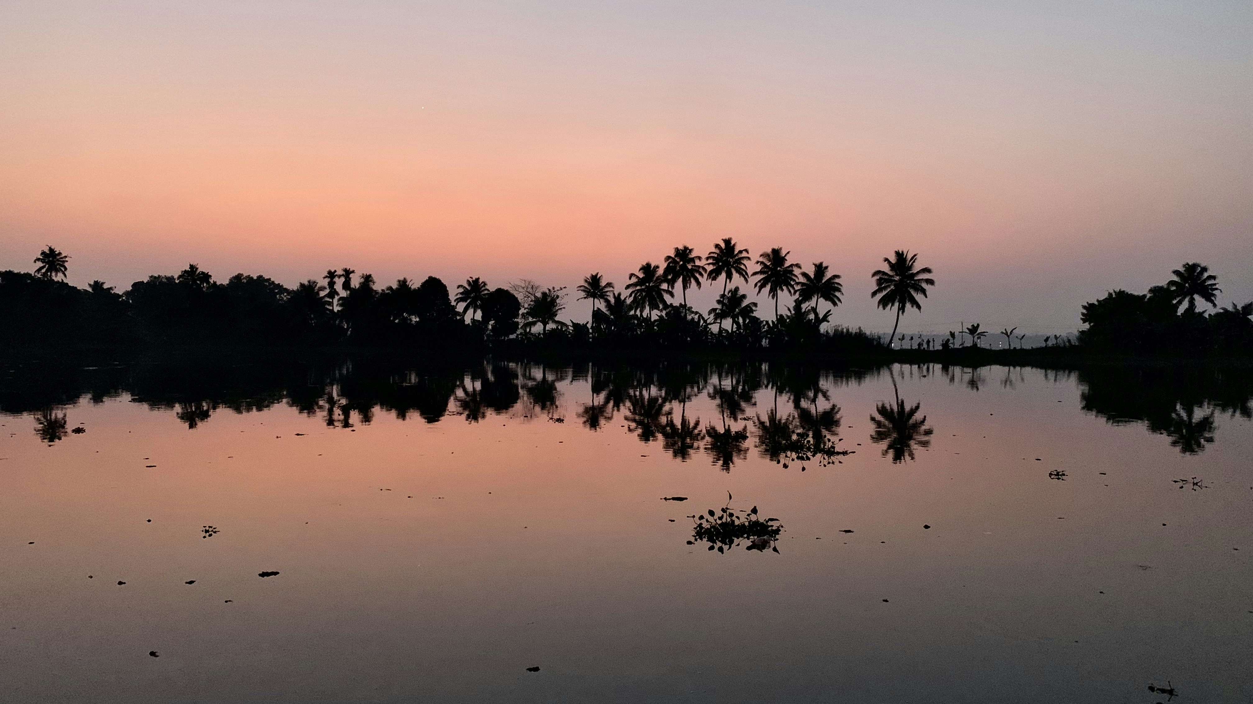 Silhouetted palm trees mirrored on tranquil water at sunset.