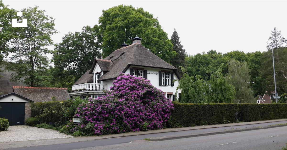 茅葺き屋根と紫色の花を持つ家の写真 Unsplashの無料オランダ写真