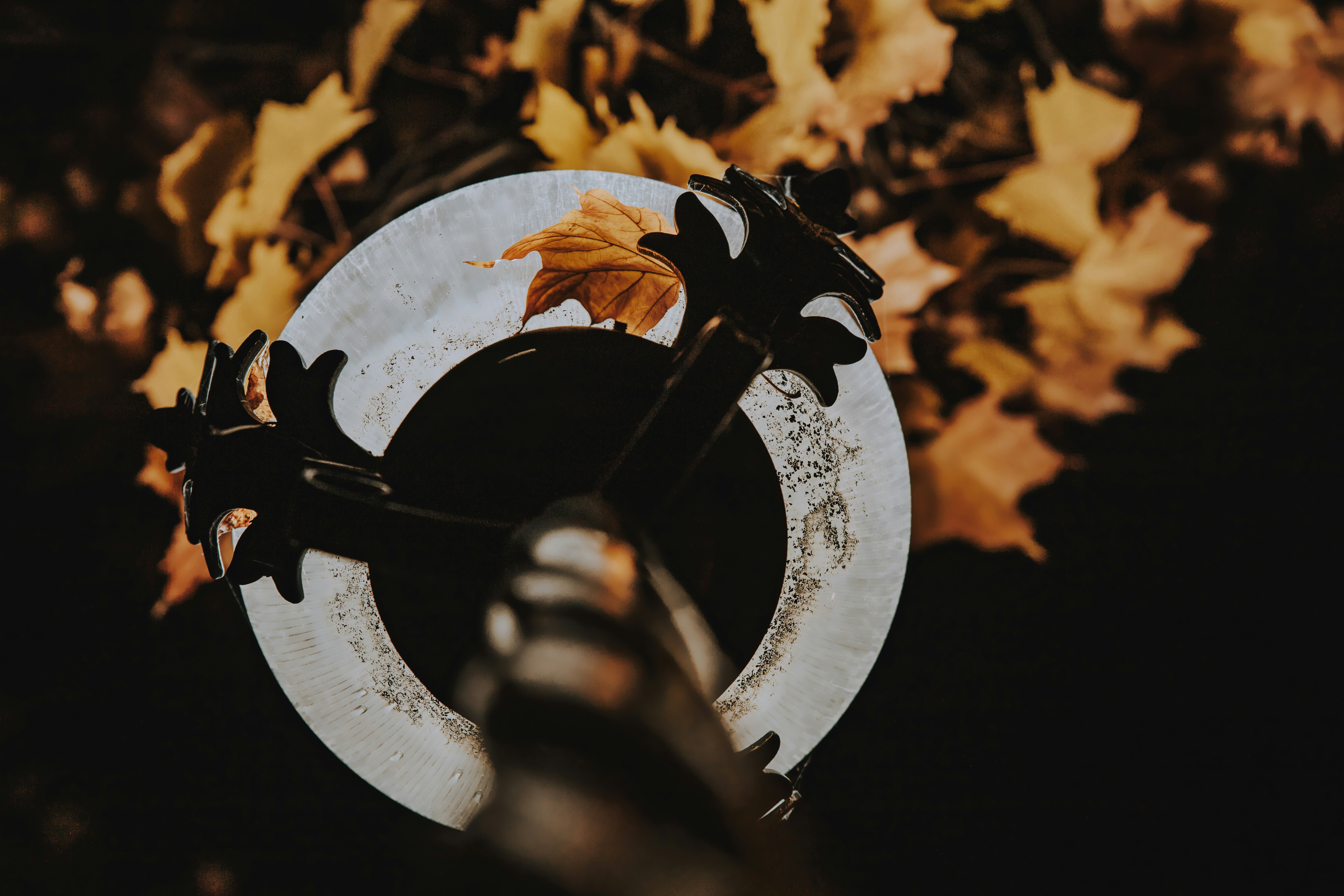 Leaf in the Ring: An Autumn Moment Amid Angular Metal