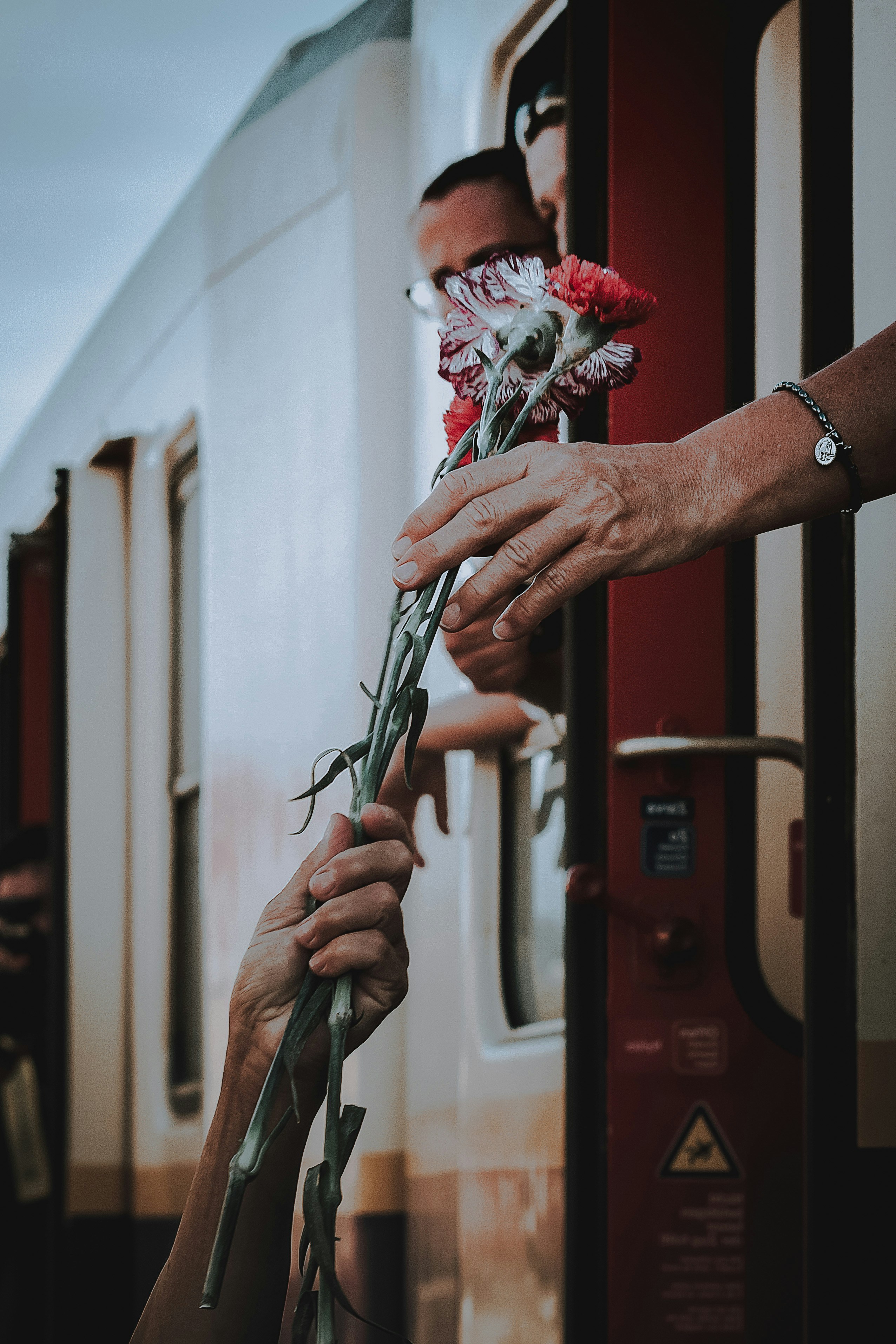 Hands exchanging a flower at a train window, symbolizing connection and fleeting moments. The scene captures the essence of human interaction amidst travel.