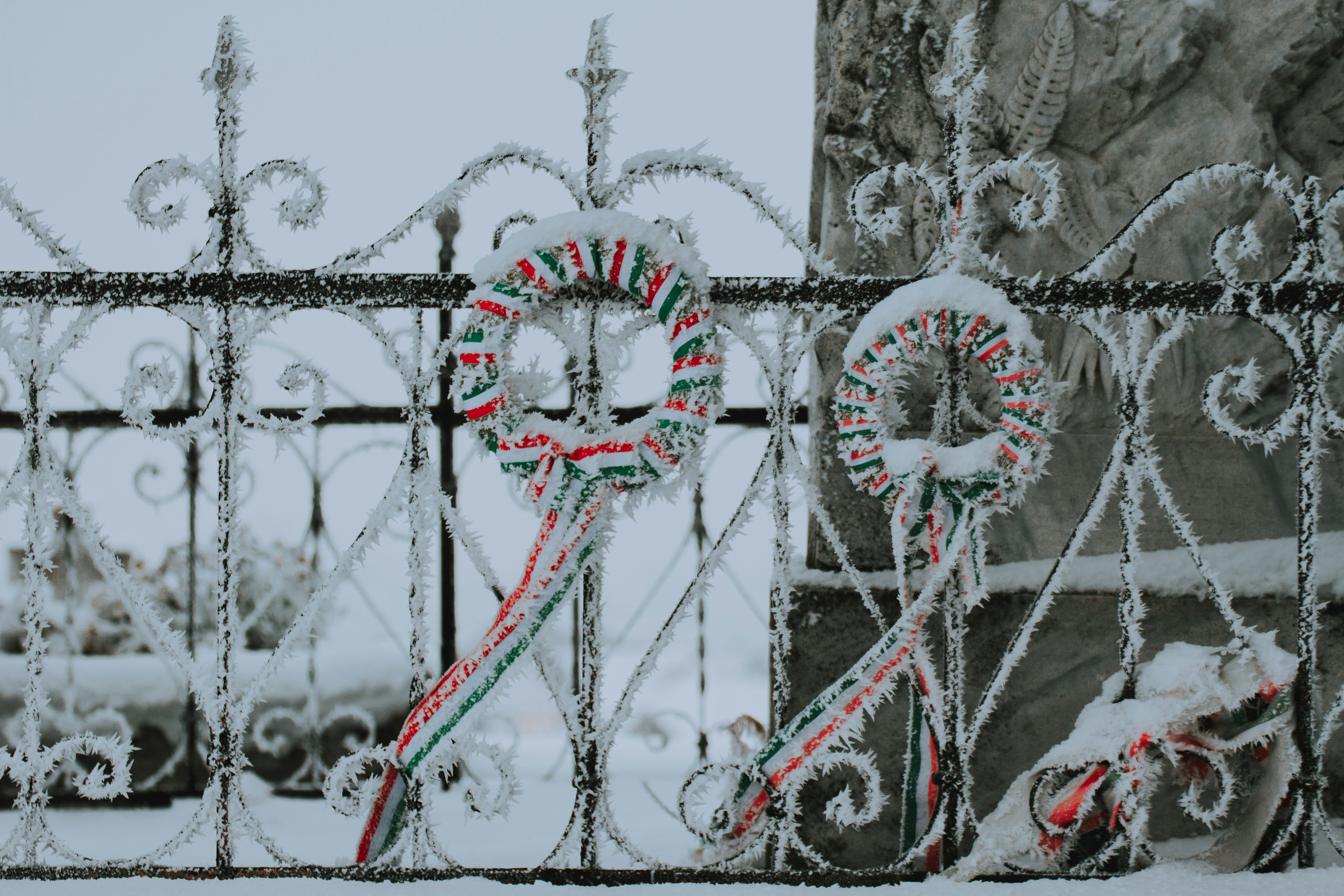 Ice-Kissed Wreaths on a Frosted Iron Fence