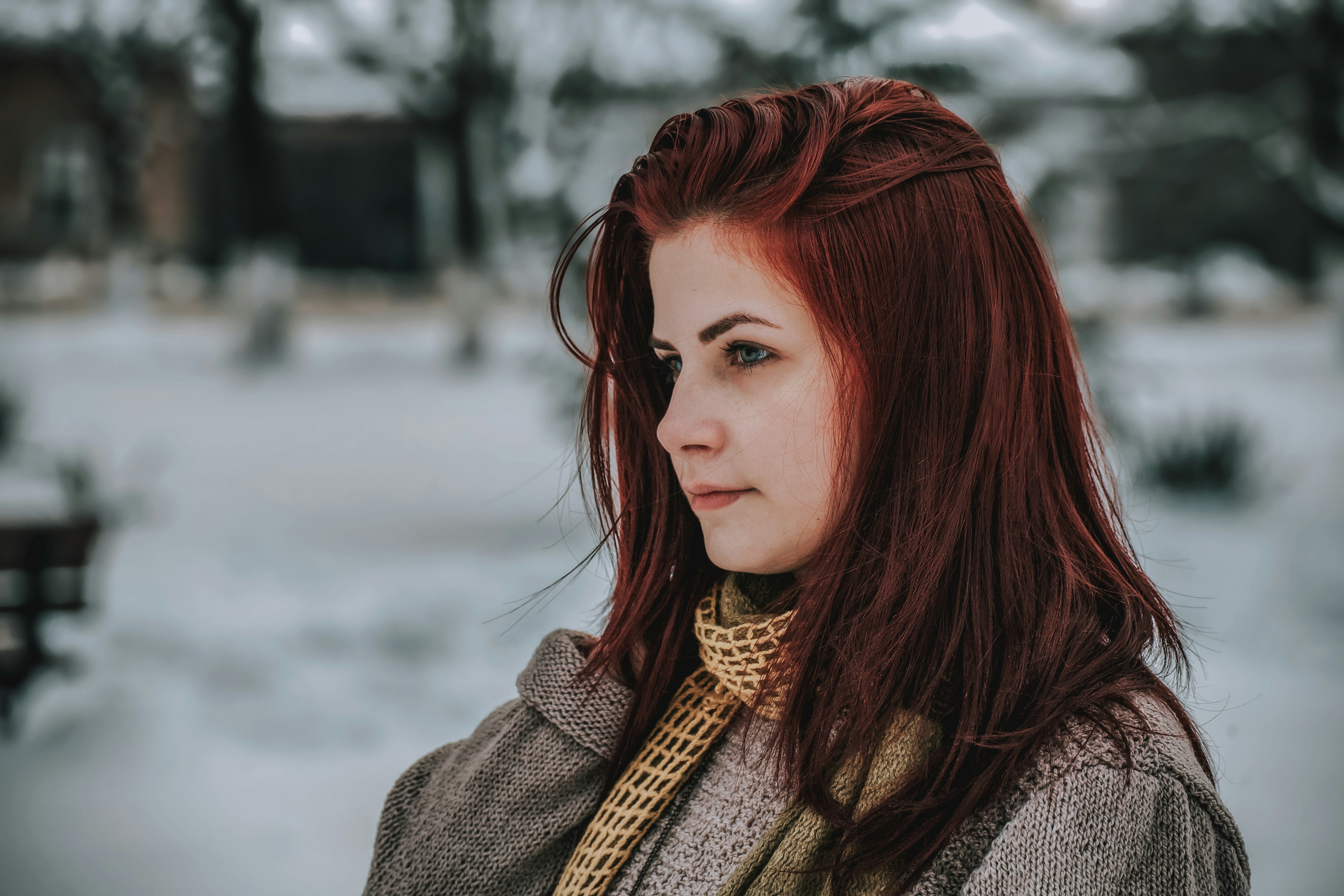 Crimson Lock in a Silent Snow Portrait