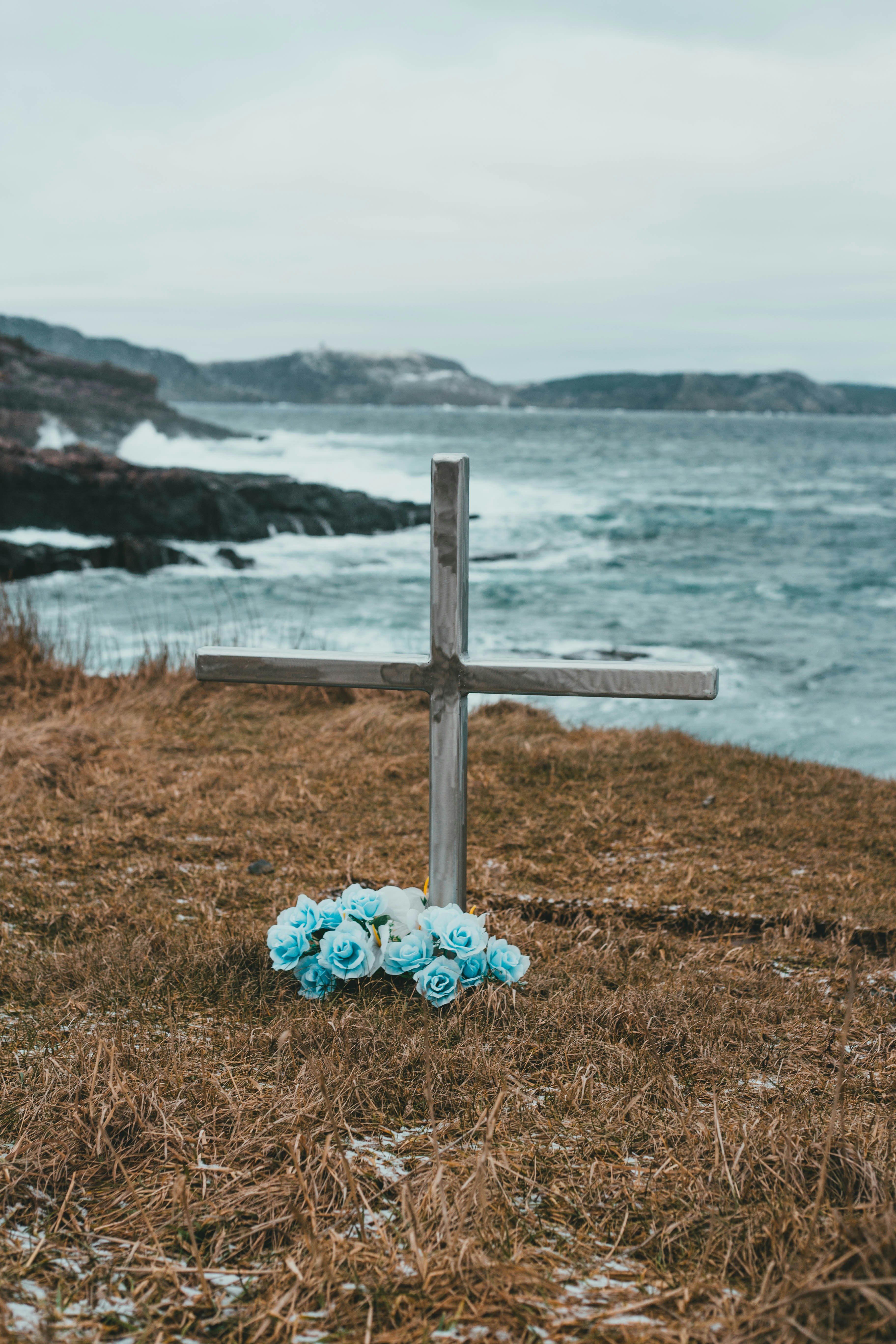 Blue Roses at the Edge of the Sea Cross