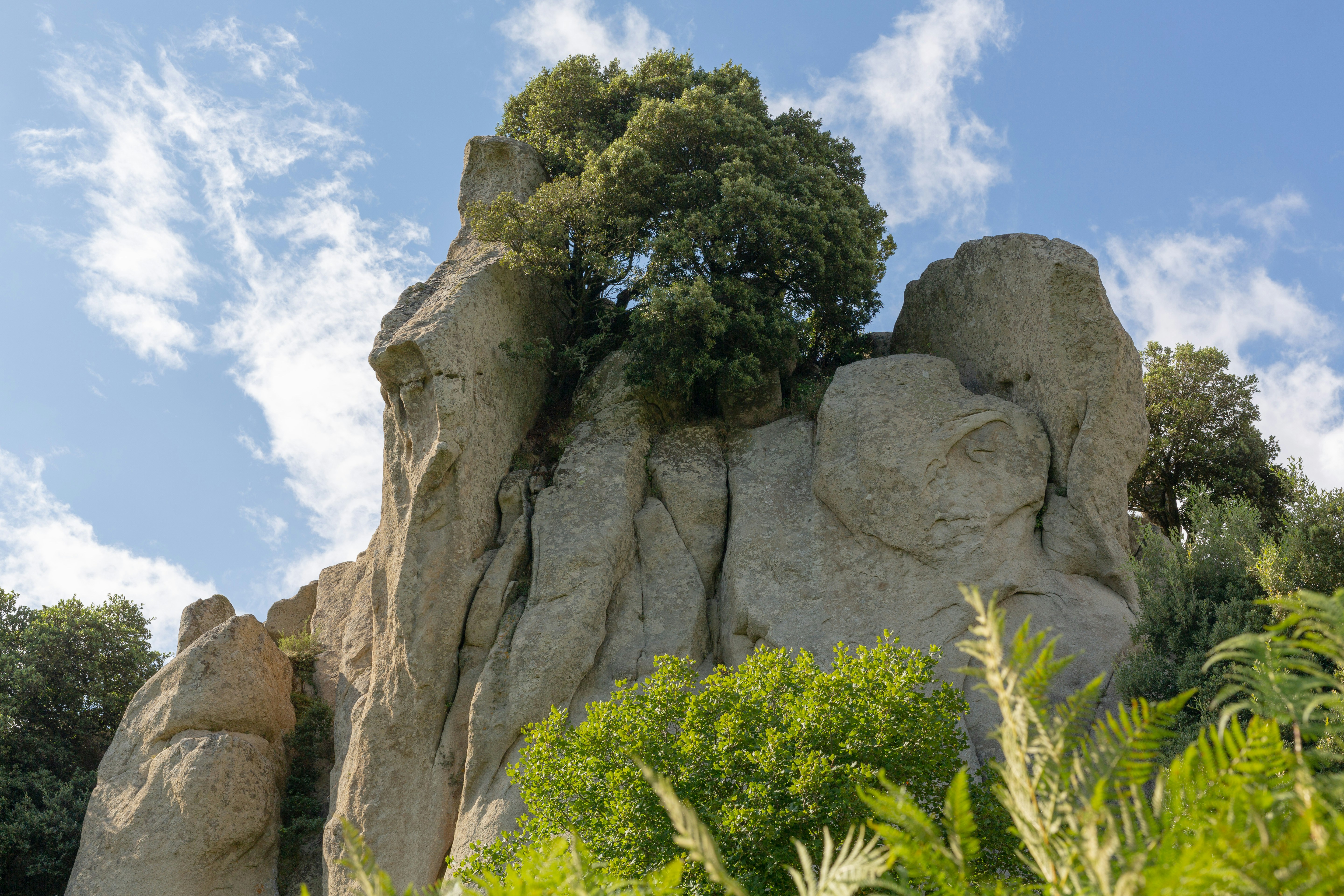 A rock formation with a tree growing out of it photo – Free Italia ...