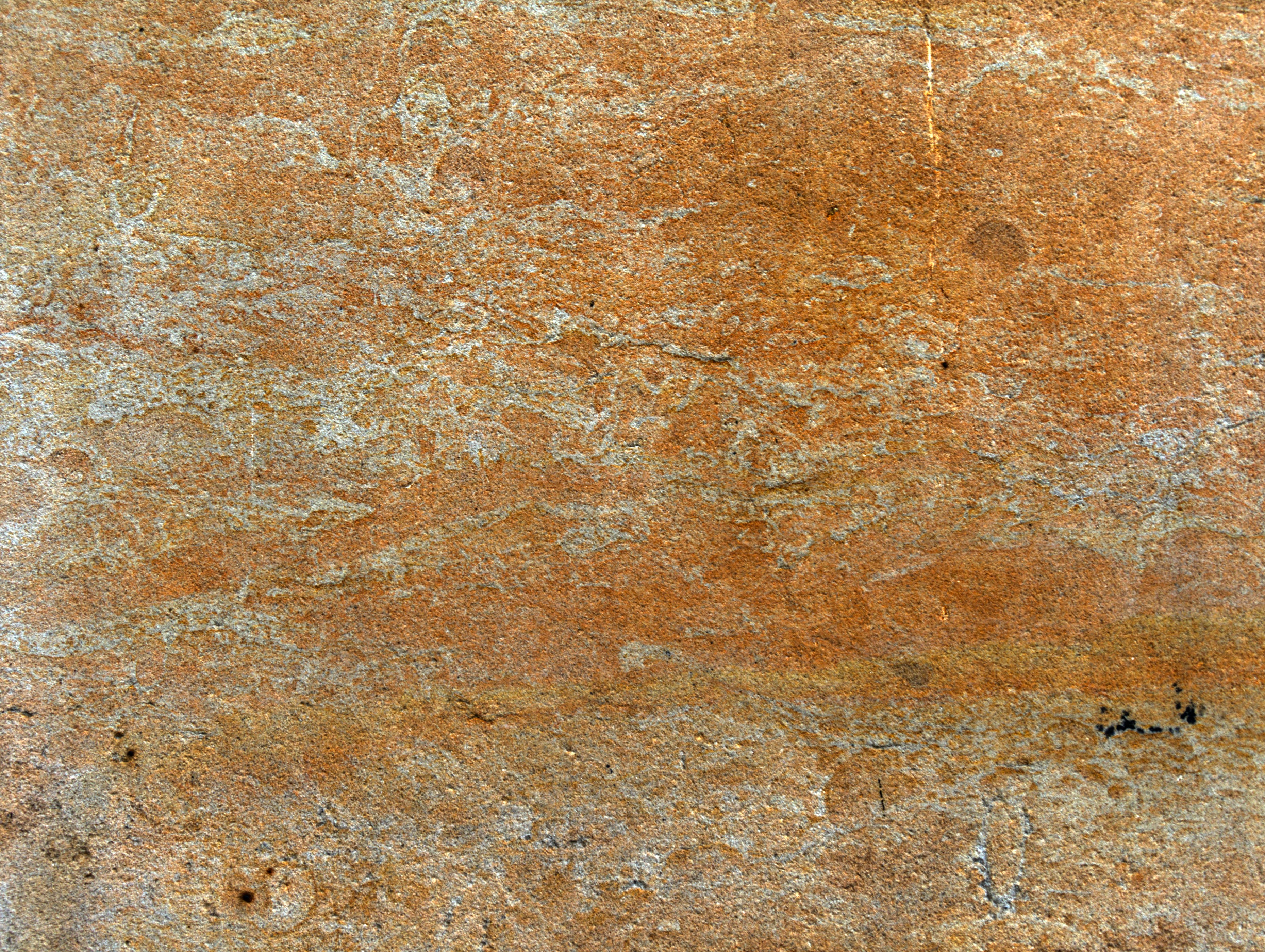 A red fire hydrant sitting on the side of a cement wall photo – Free ...