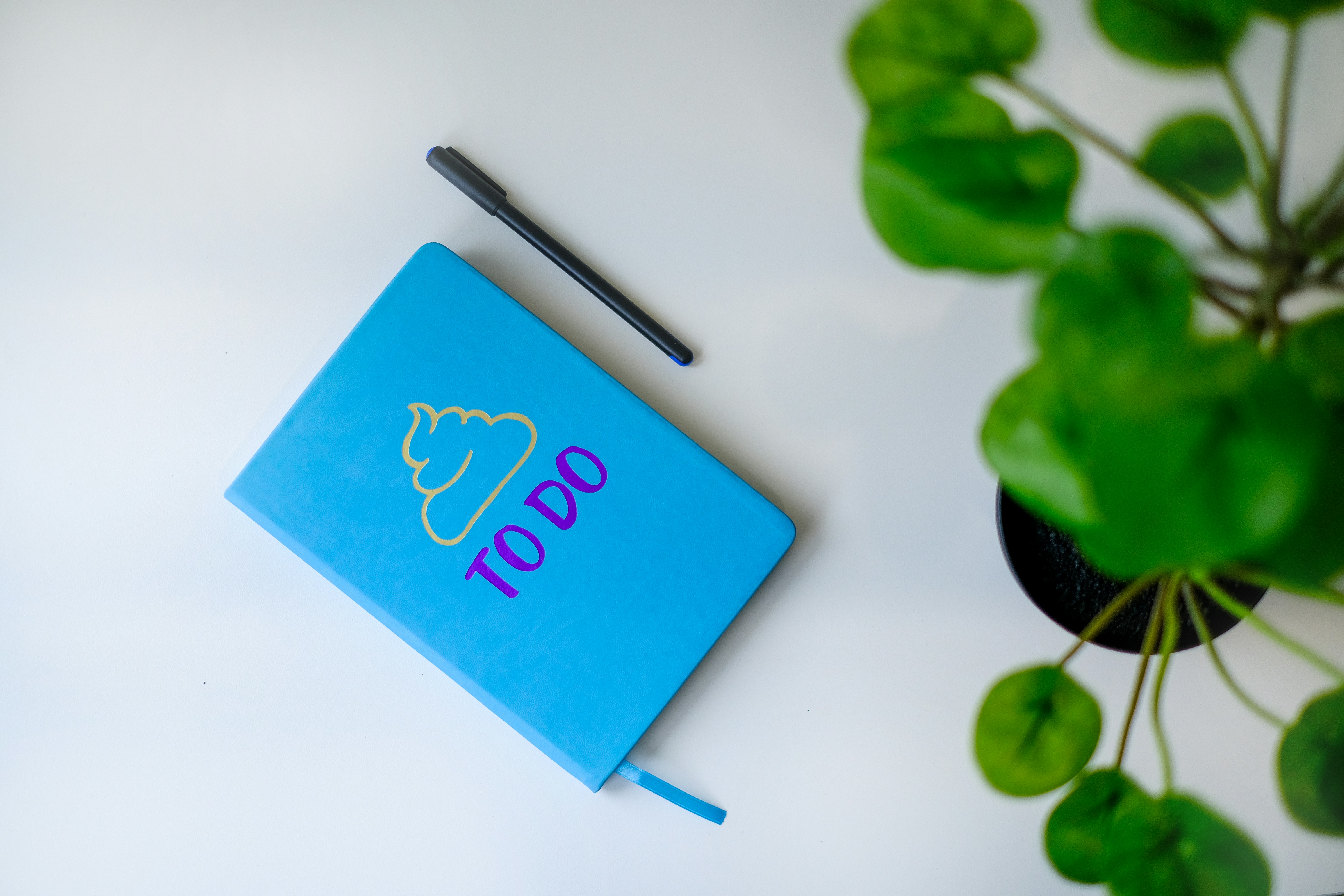A blue notebook with the word pop written on it next to a potted plant ...