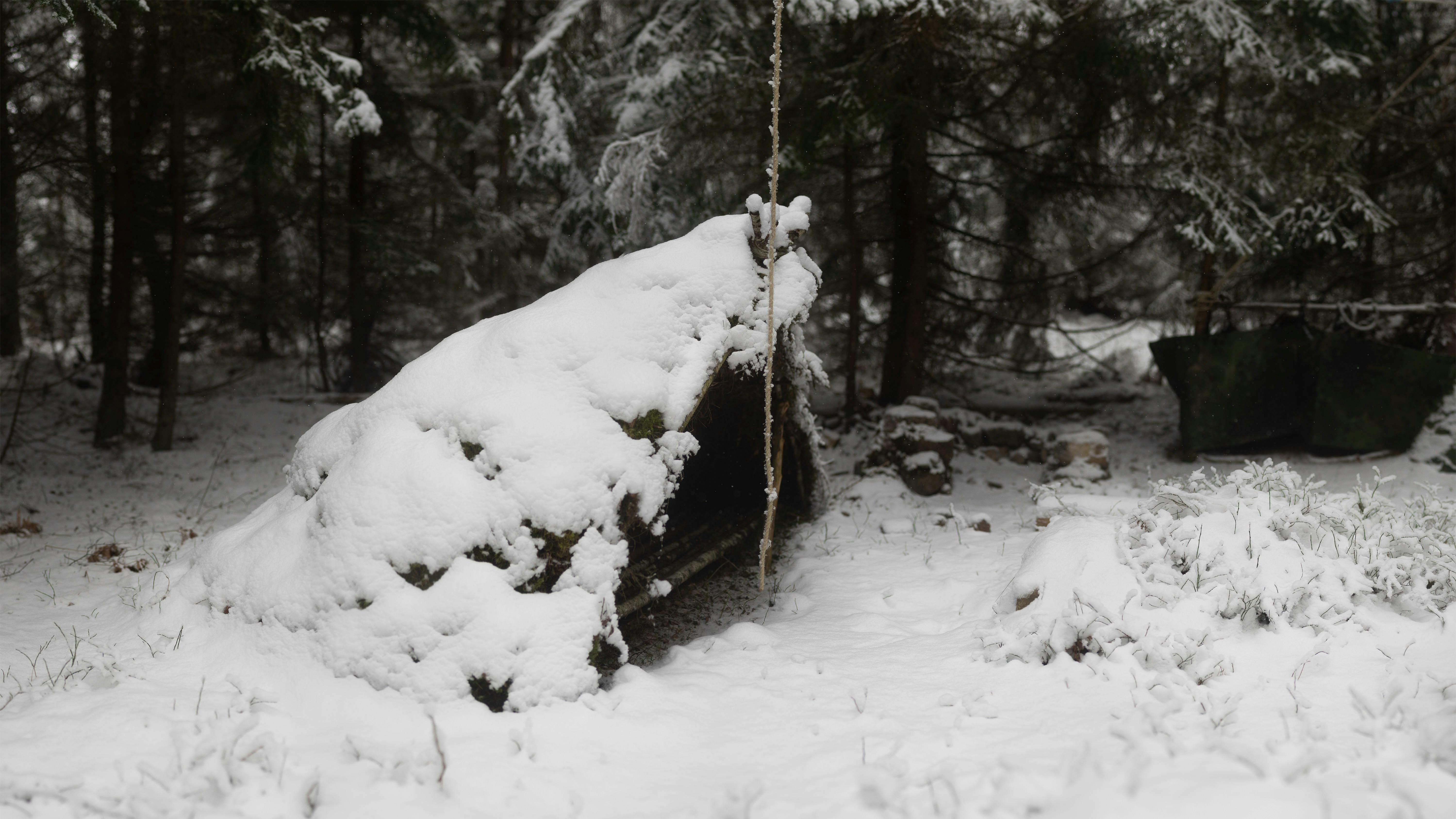 A snow-covered makeshift shelter nestled among trees in a tranquil winter forest. The scene evokes a sense of solitude and nature's quiet beauty.