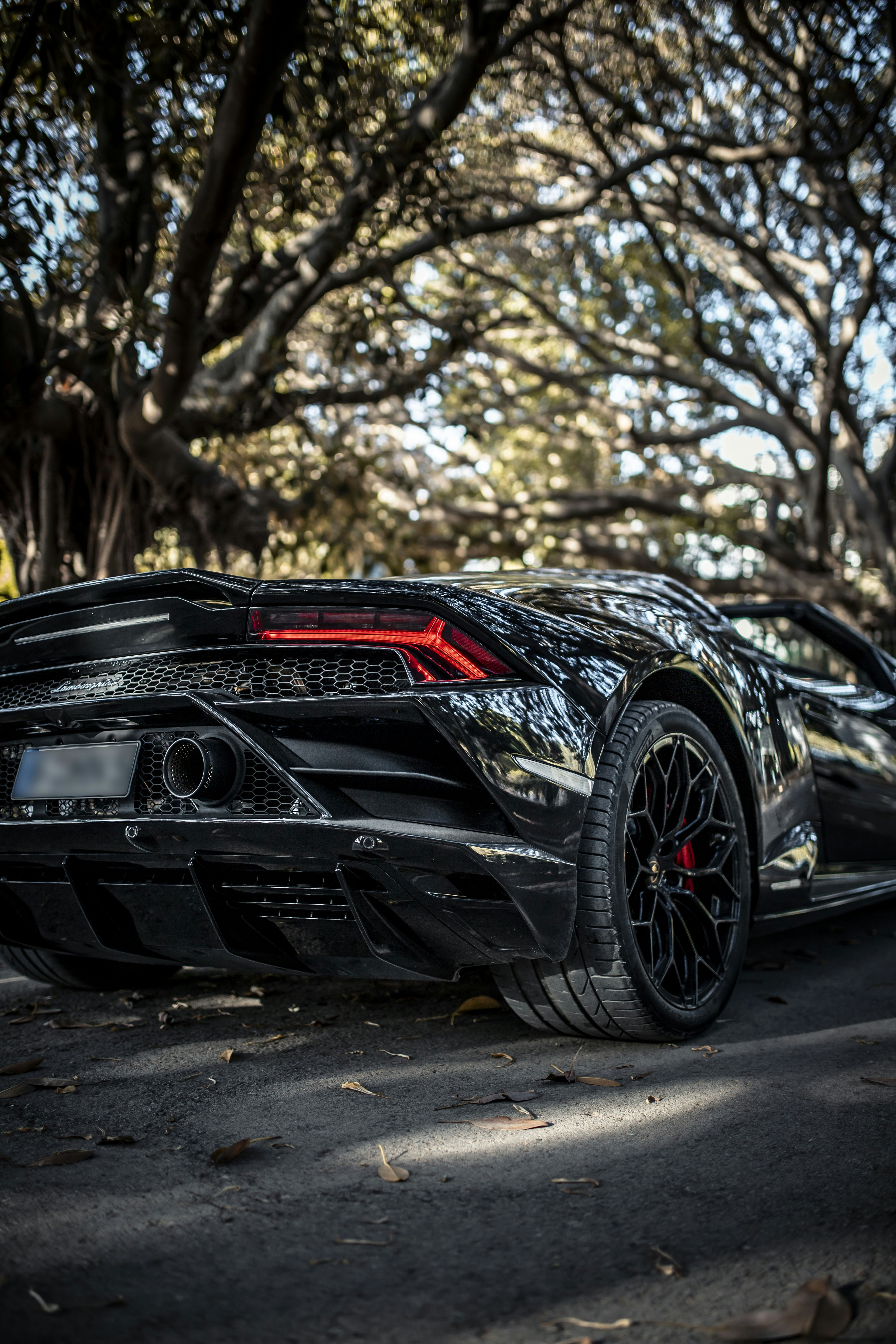 Noir Rear Quarter: A Black Hypercar Paused Under Tree-Lined Light