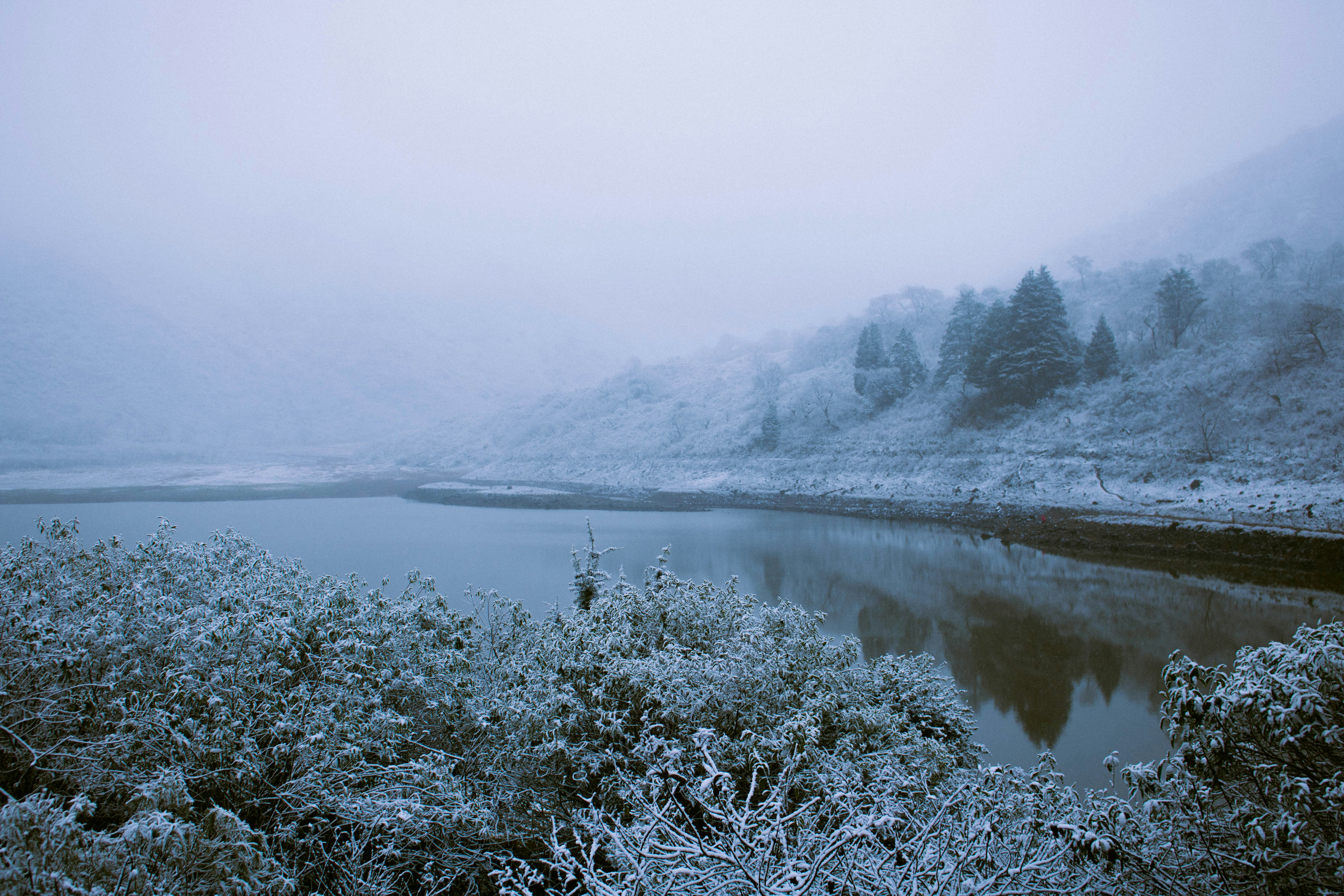 Frosted Serenity at Yala Lagoon