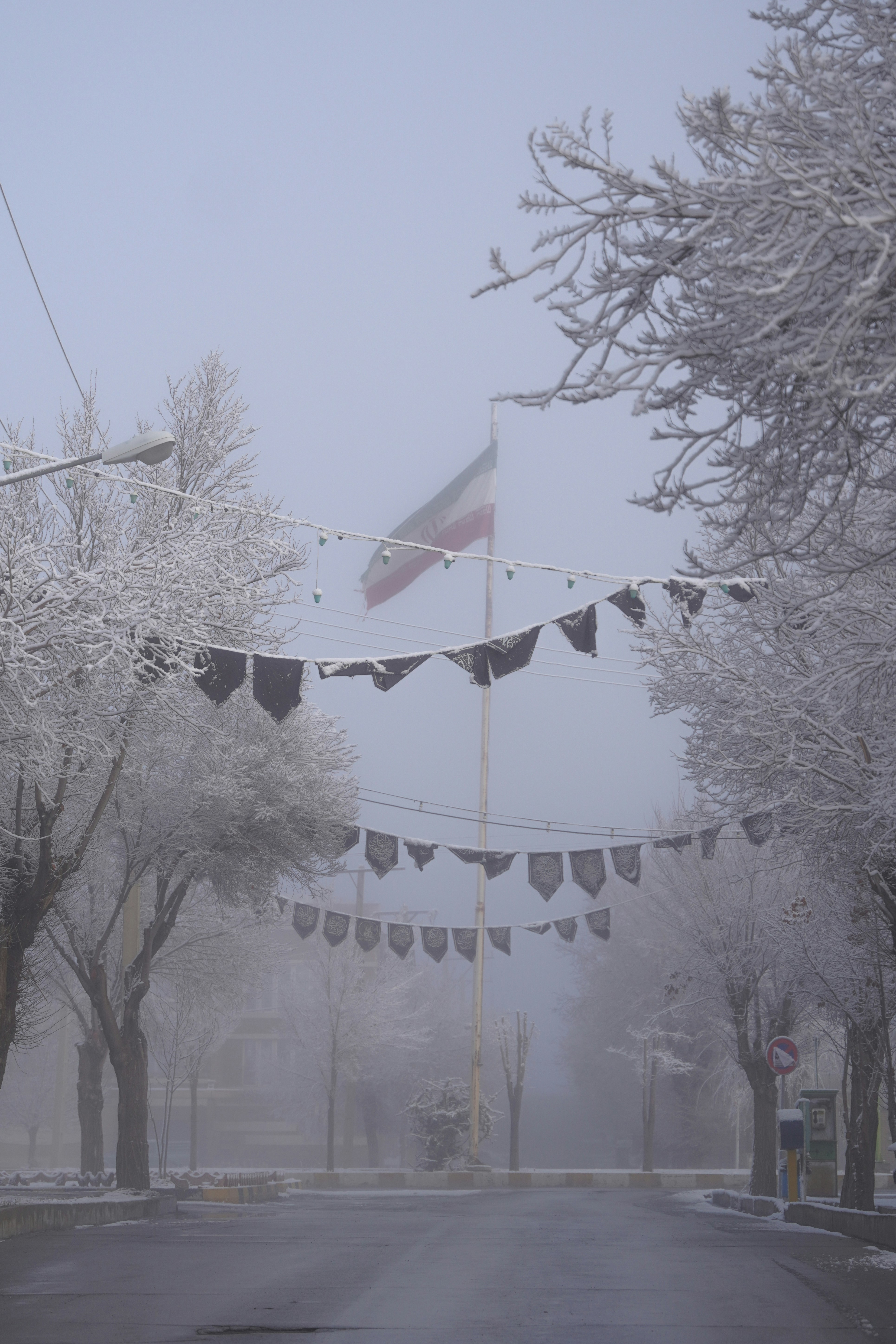 Misty Street with Flags Across Frosted Trees