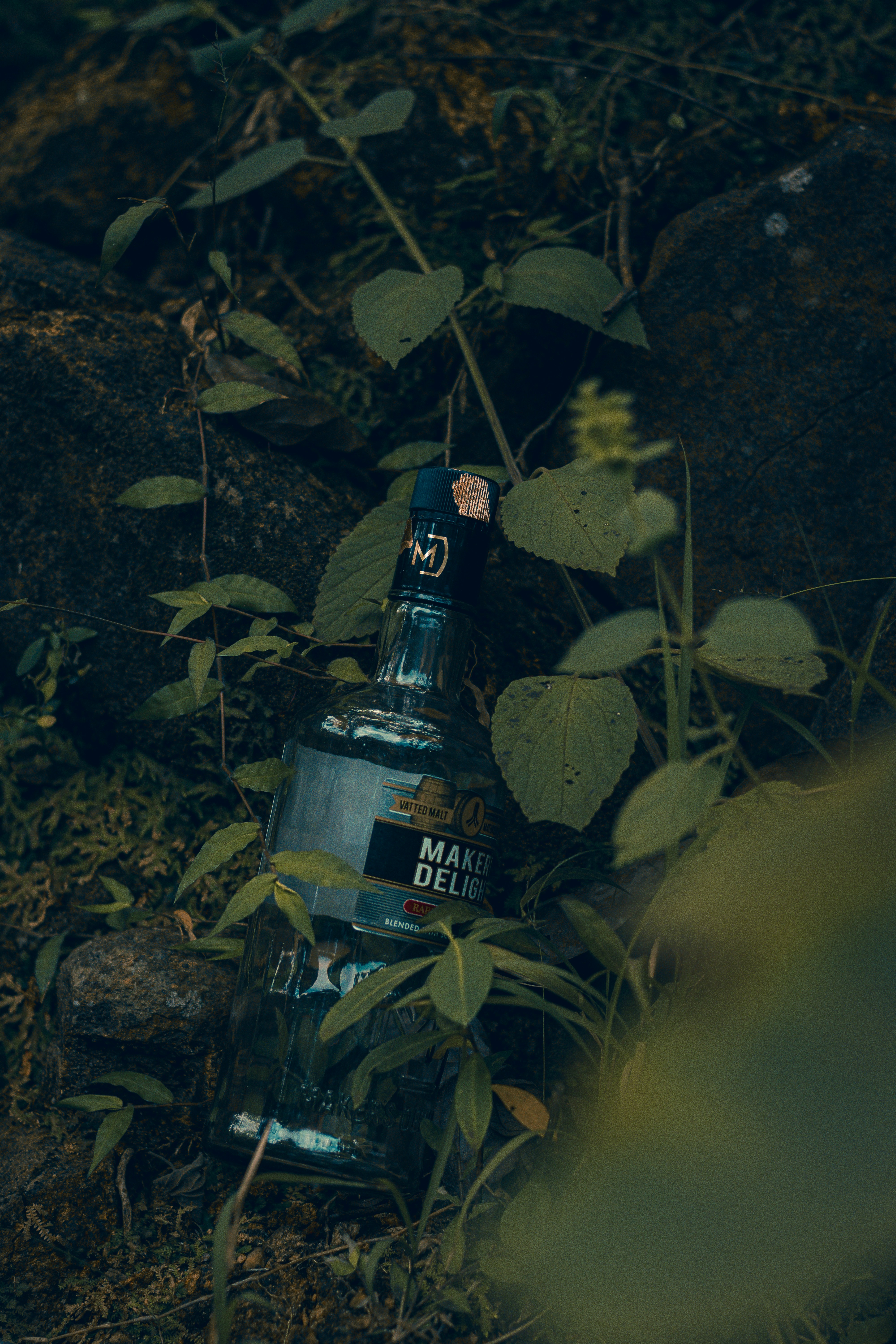 Whiskey in the Wild: A Quiet Bottle Among Moss and Stone